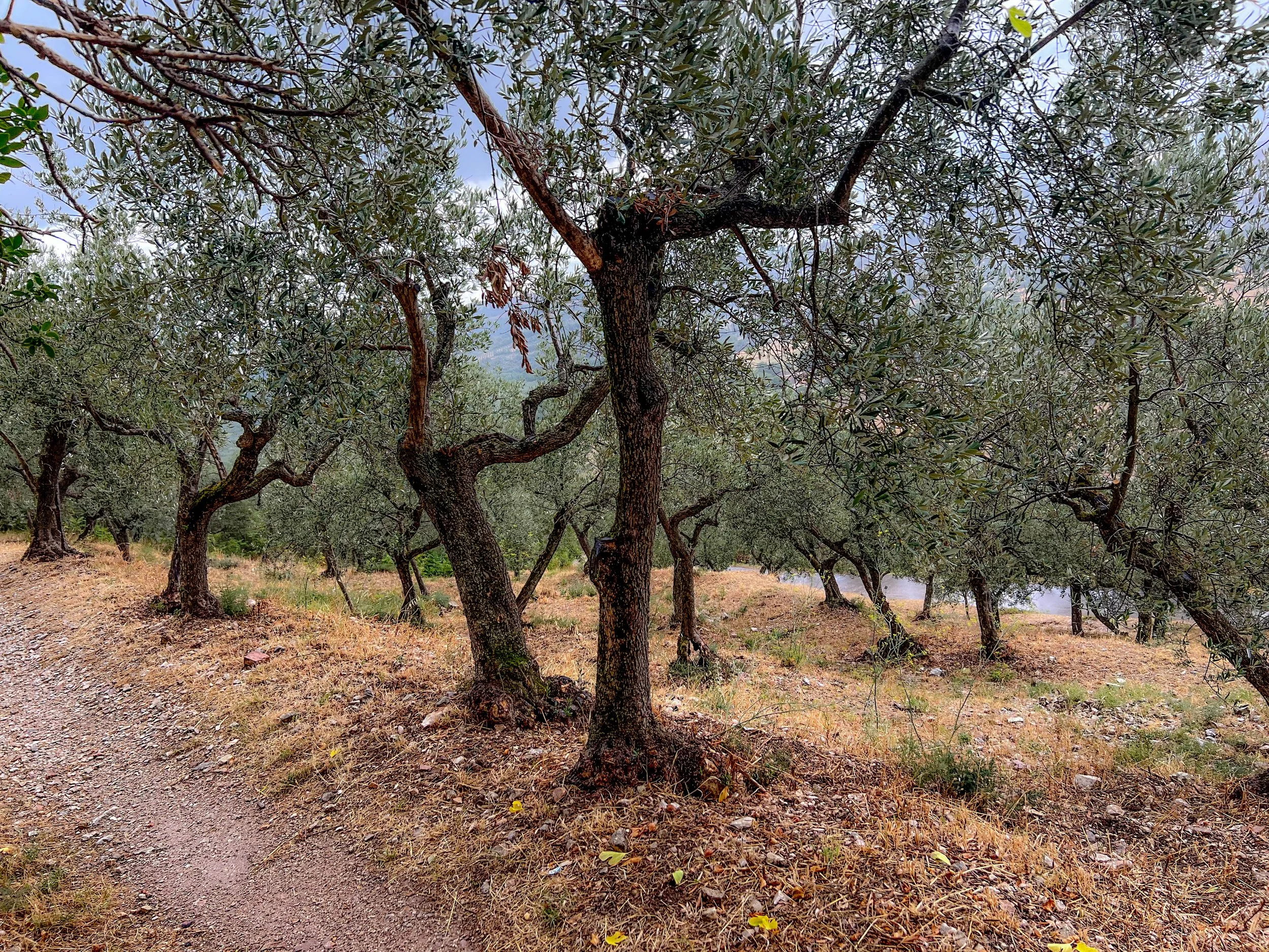 Italy 2022 and 2023 - Scenery — Rich Klein Photography