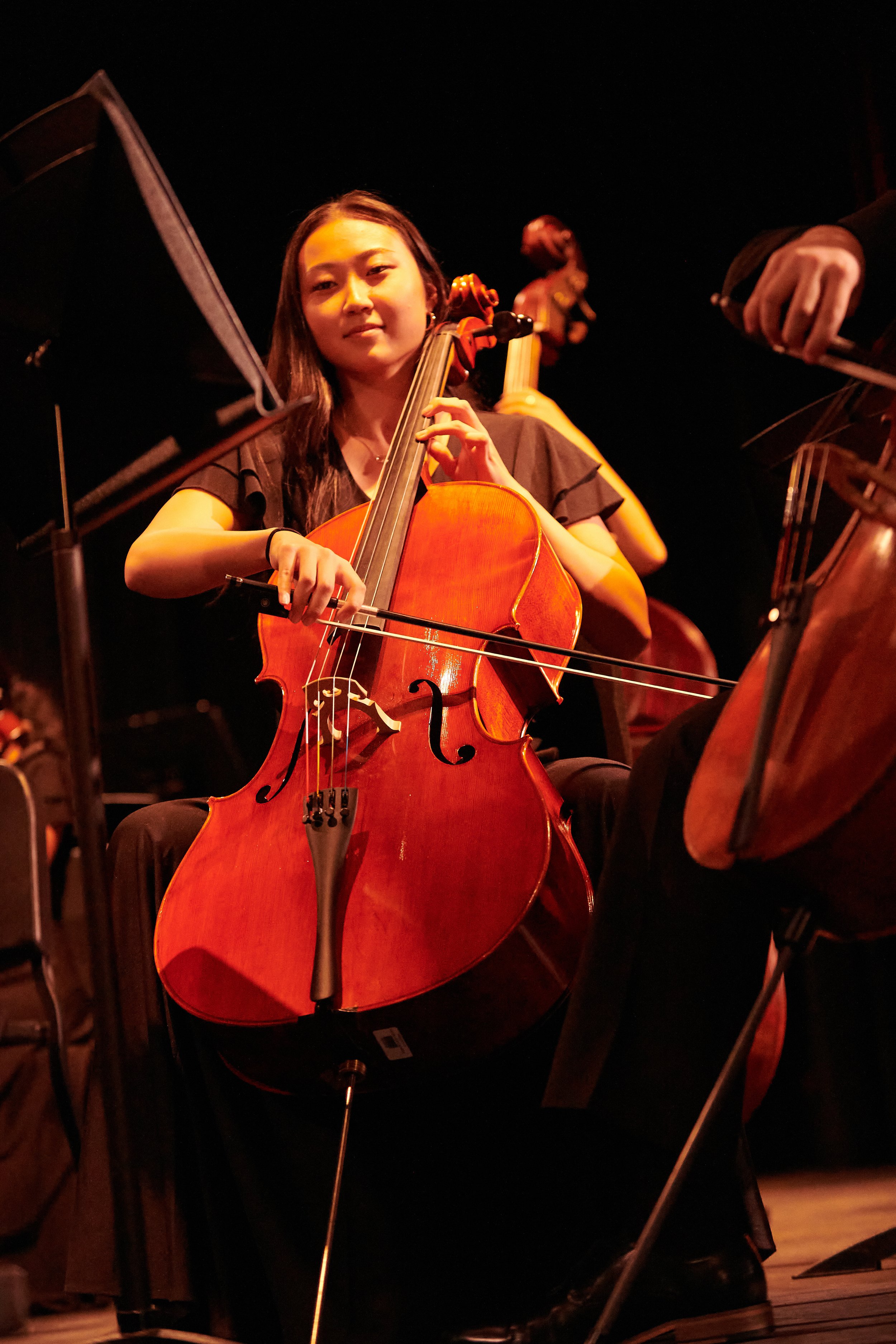 Store — Alpharetta High School Orchestras