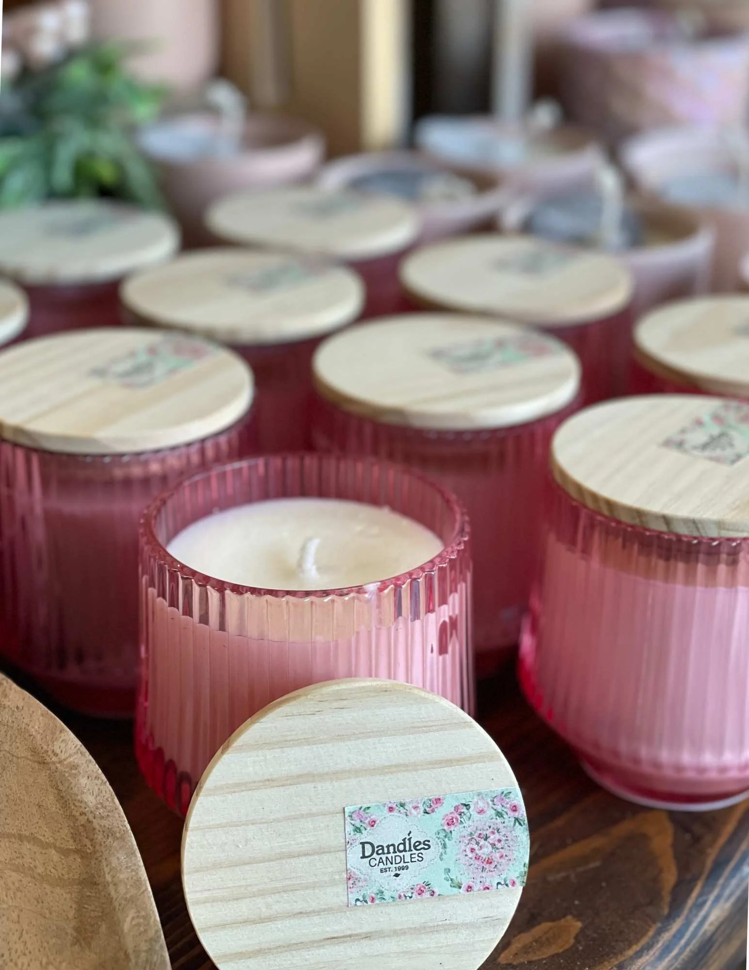 Dandles Candles Wholesale