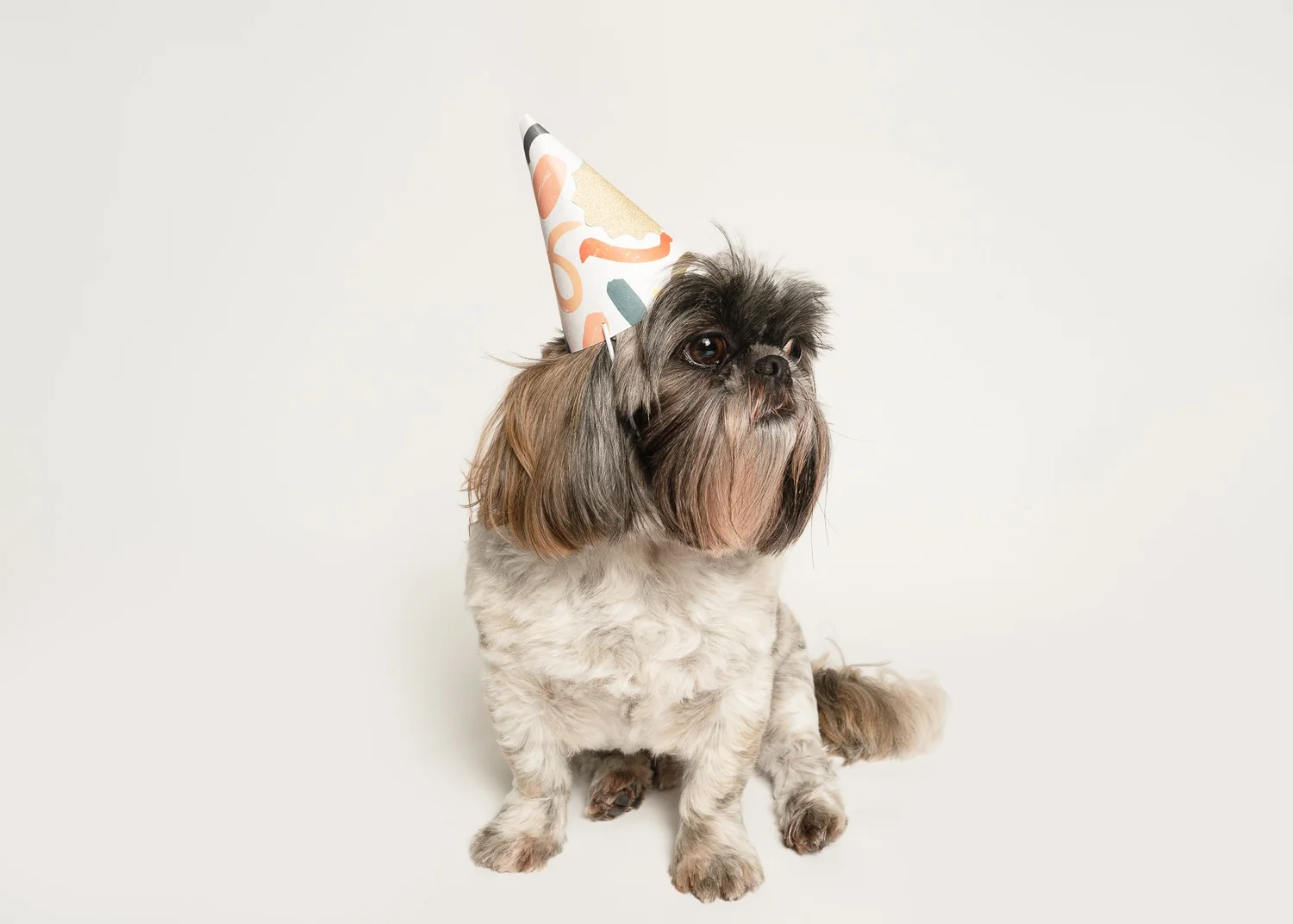 Let's Make Merry Pets