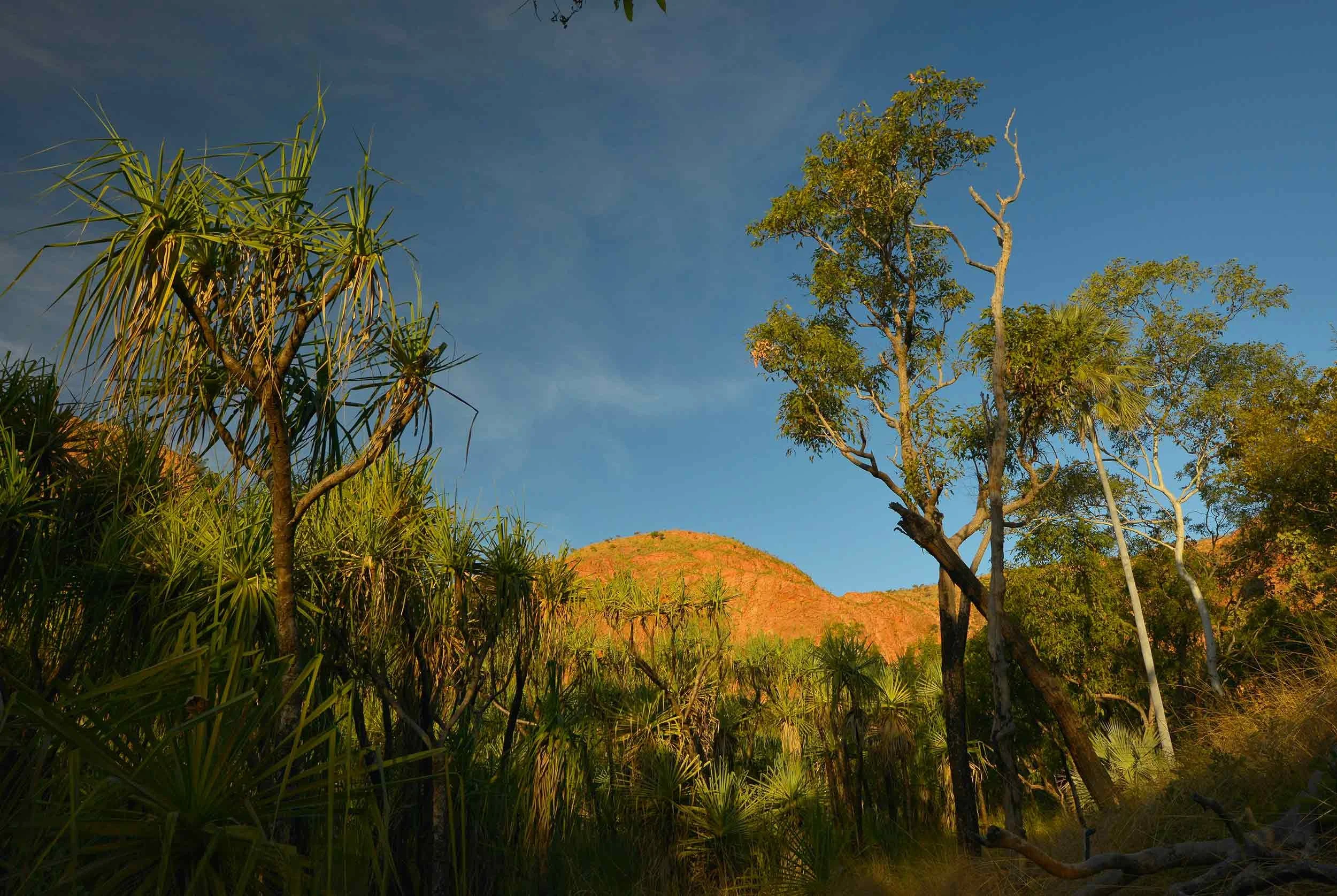 East Kimberley — Jawun