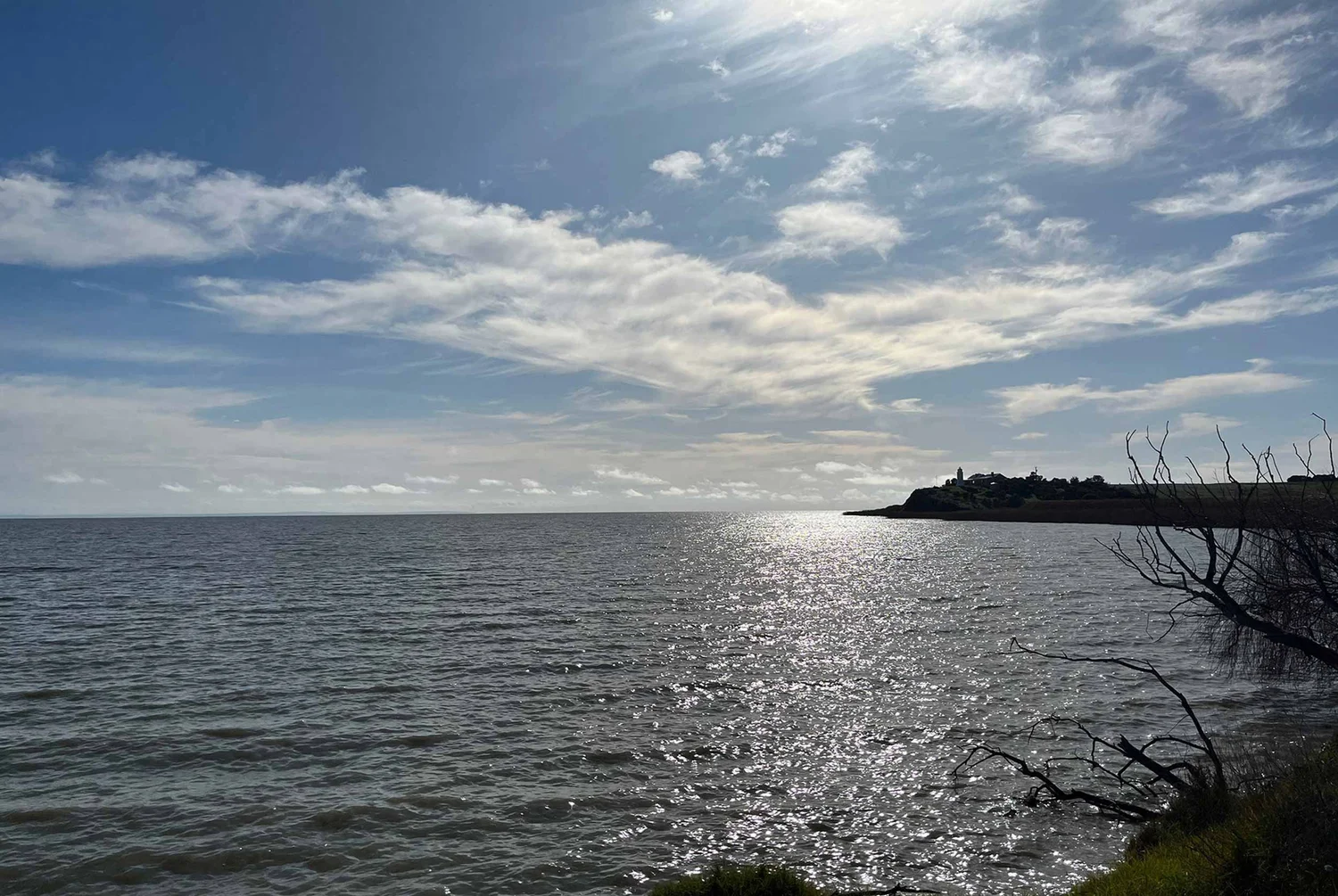 Lower River Murray — Jawun