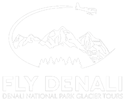 General 1 — Fly Denali, INC.