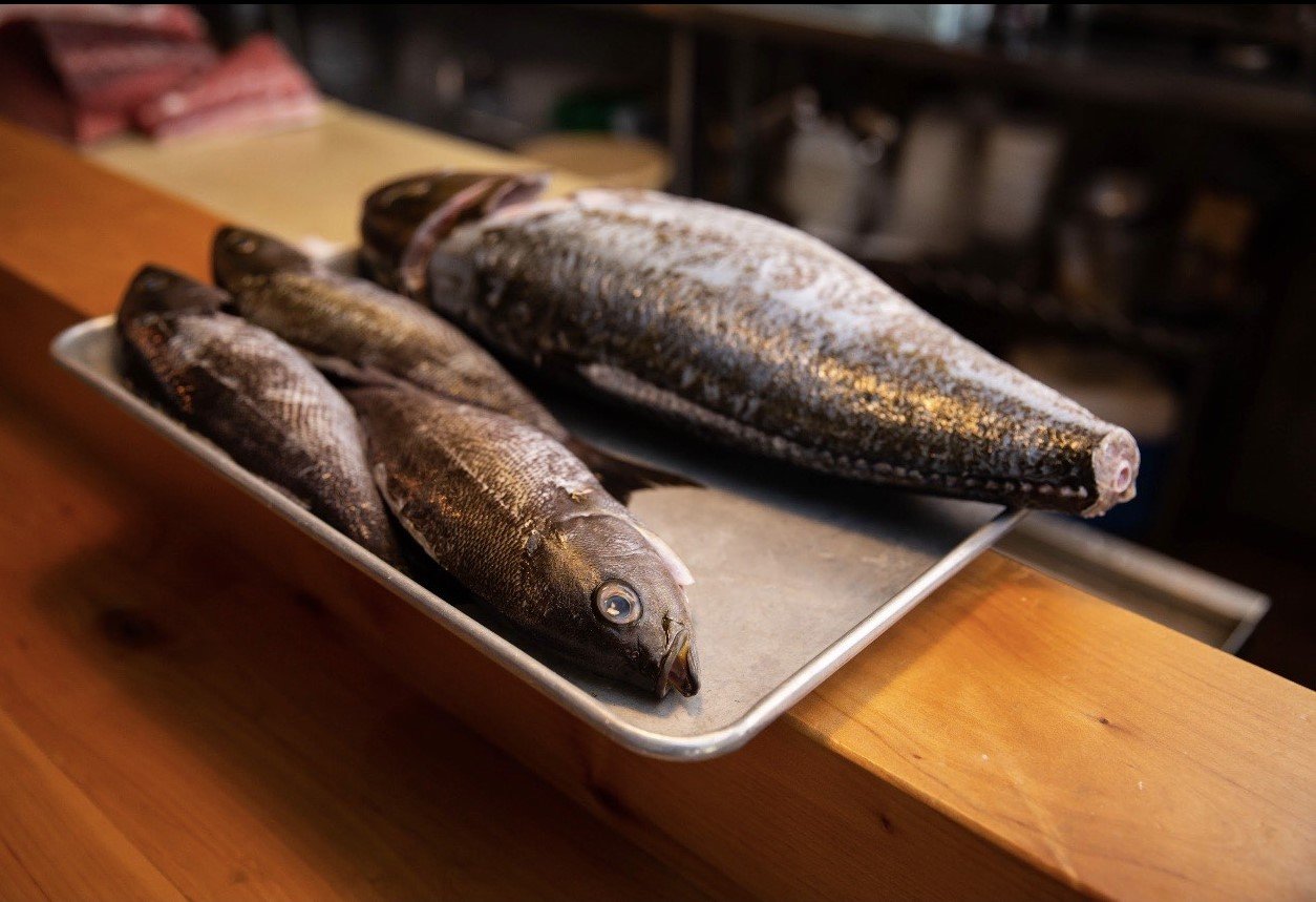 Fresh is just the beginning...