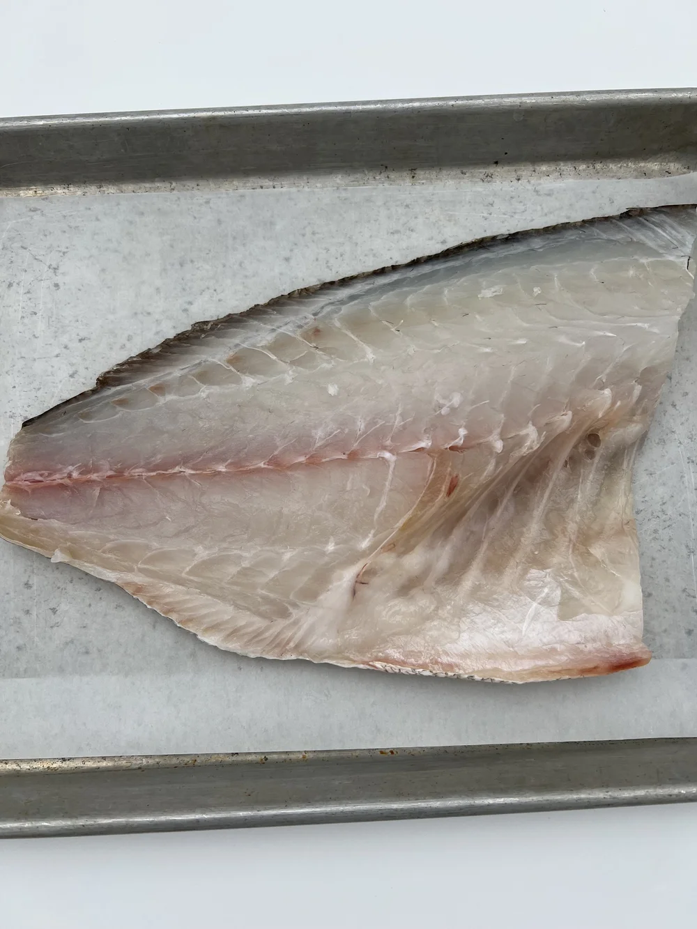 Aji Fish Butchery