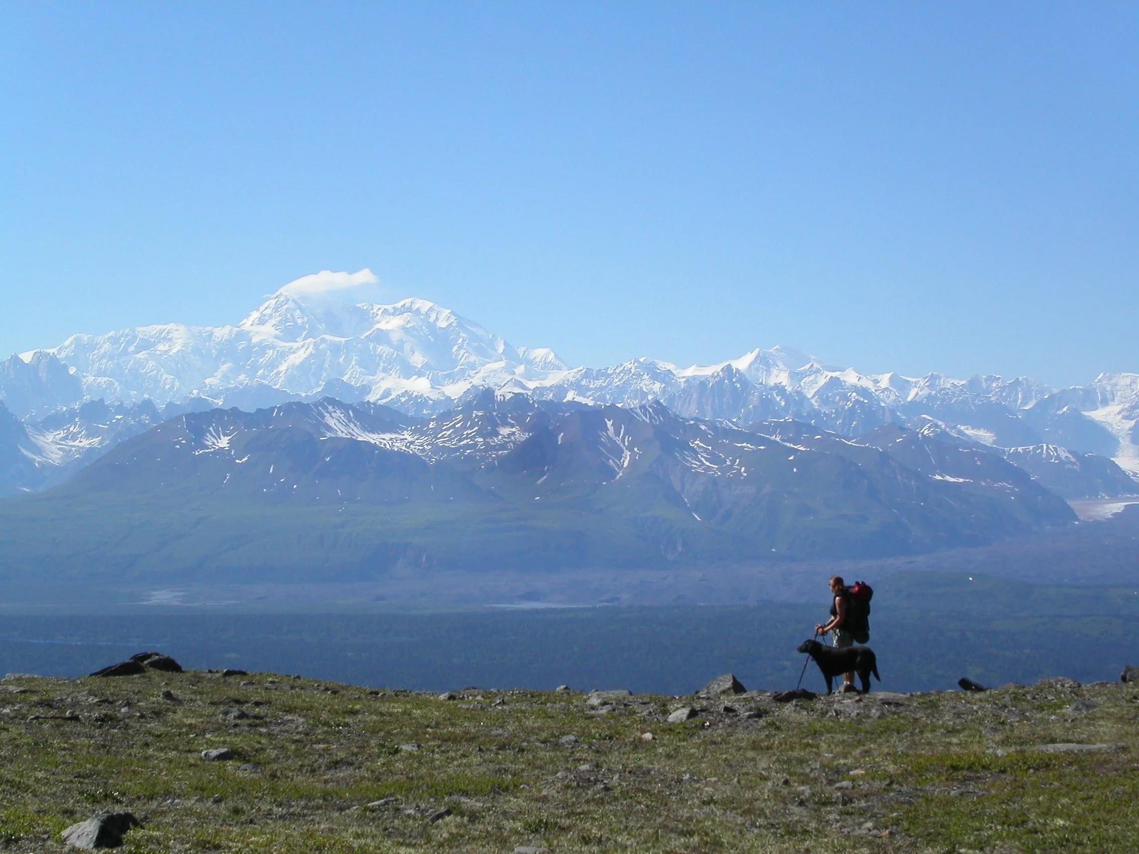 Anchorage Pet Travel Certificates