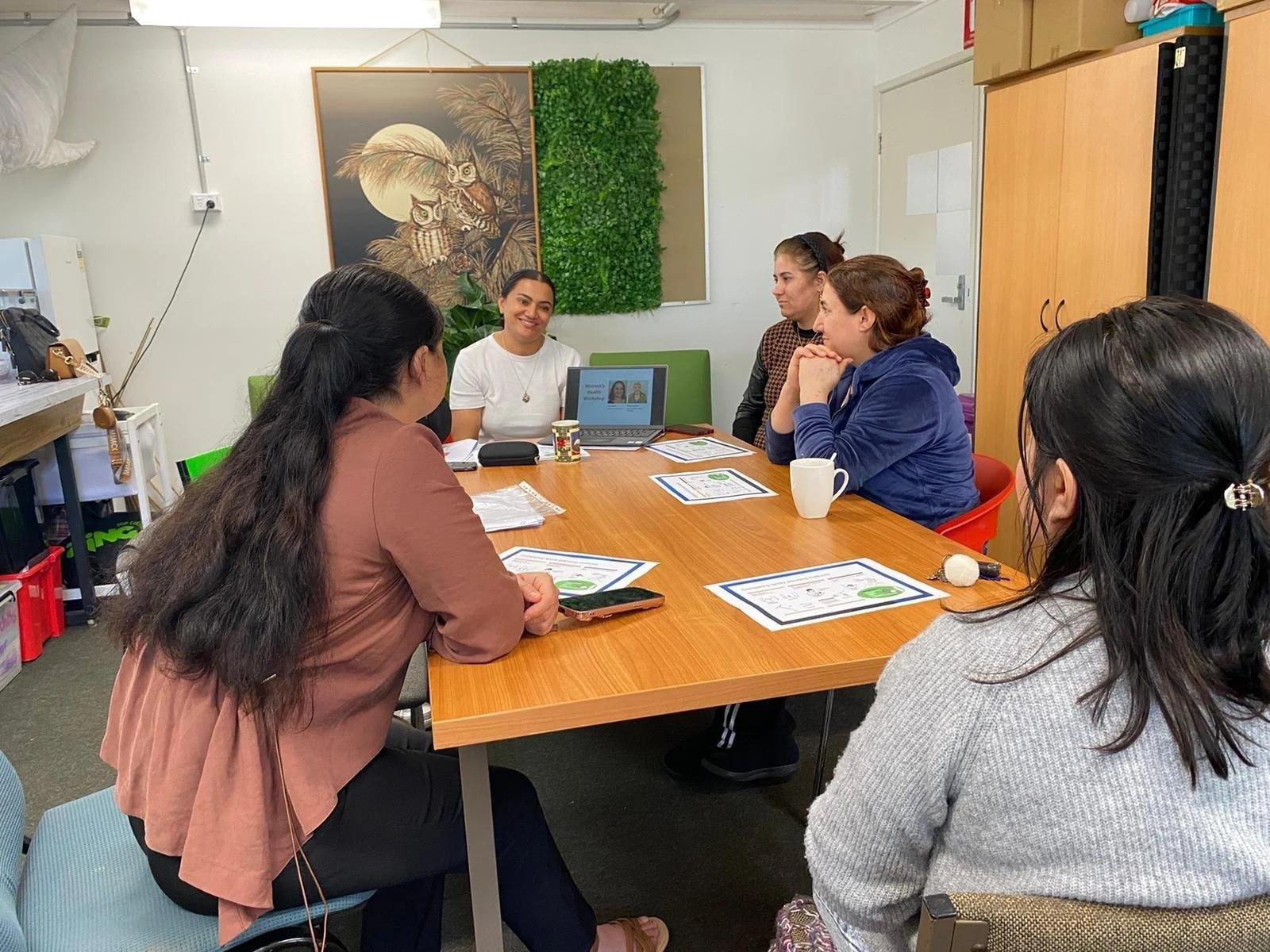 Women’s Health Language Project: Fostering Health Literacy — Concinnity