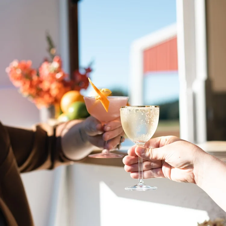 Bar Car - Mobile Bar