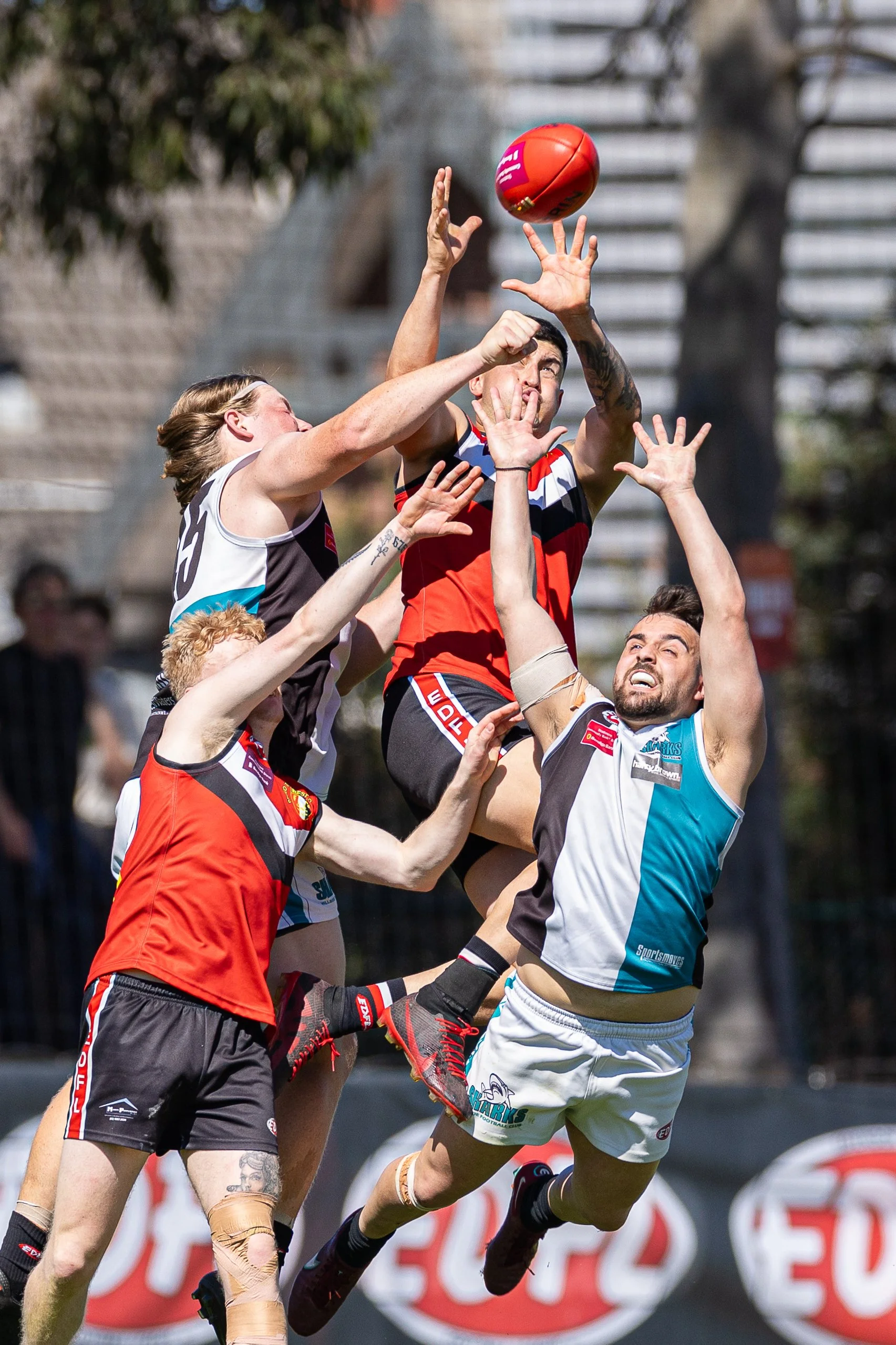 Sporting Moments By Shaun