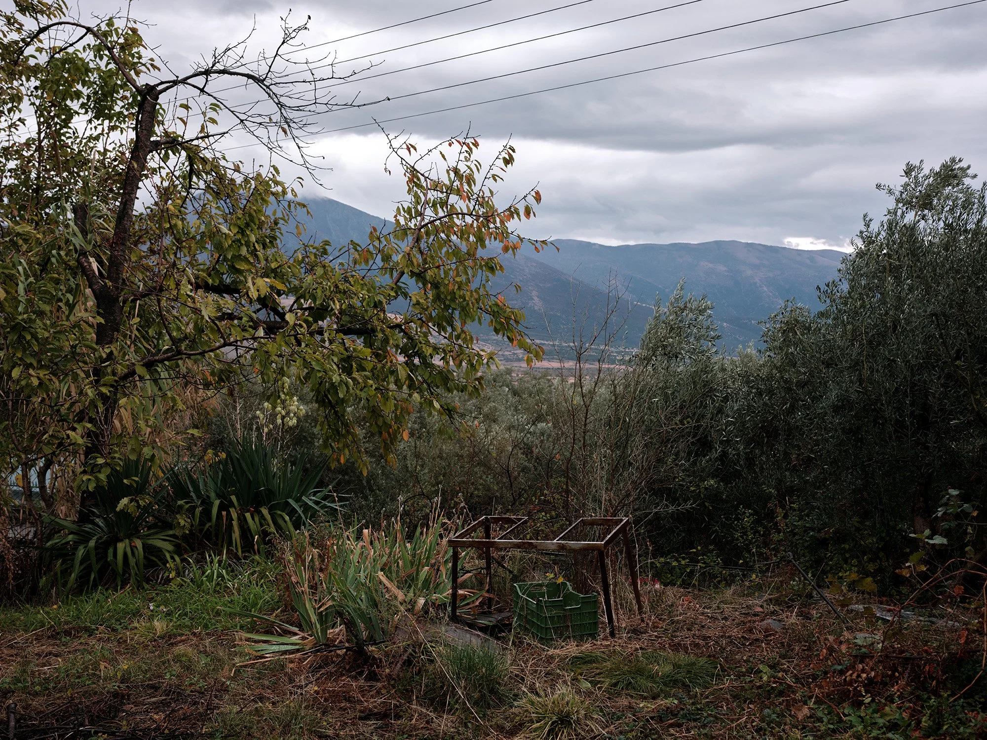 Returning Home — ANDREAS TSONIDIS