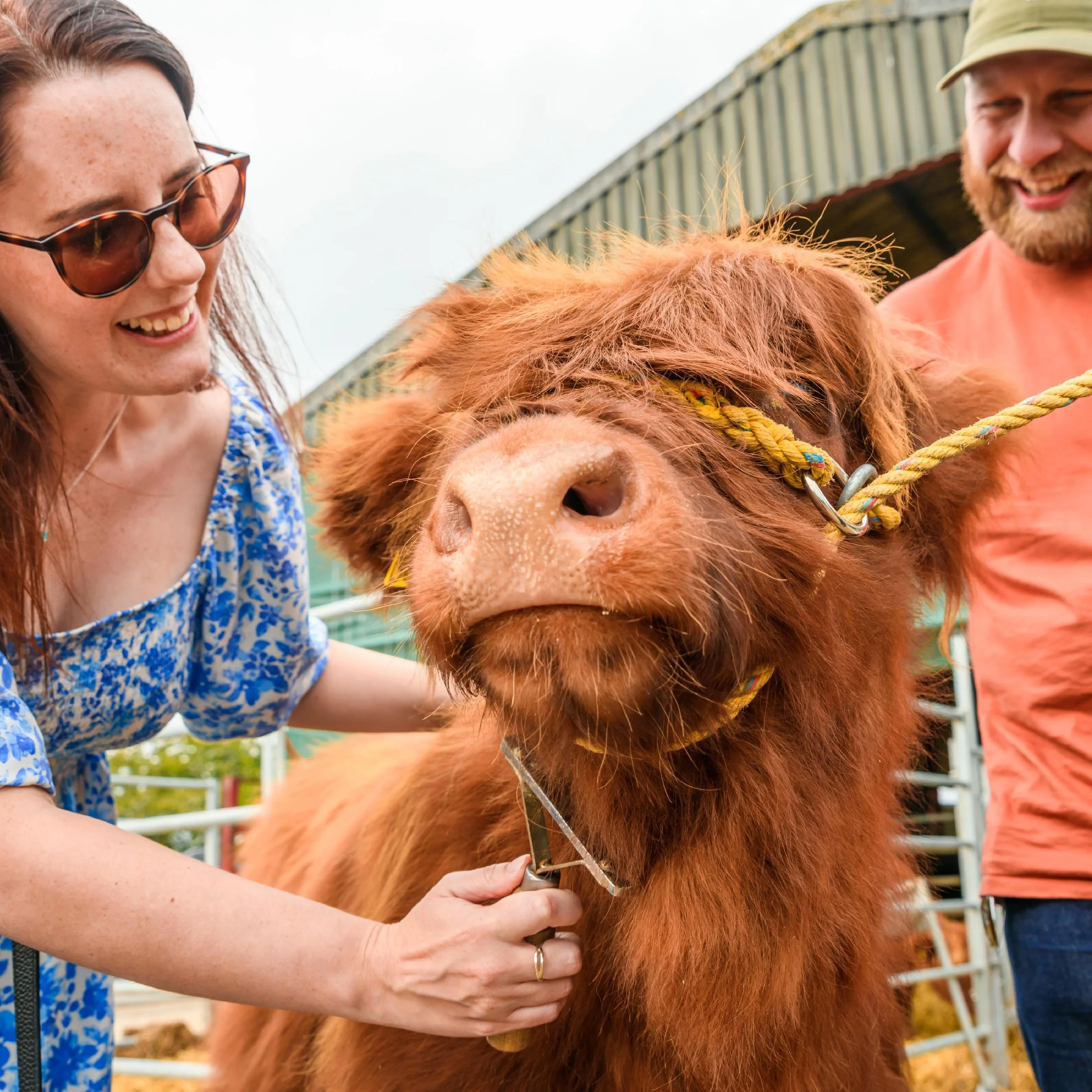 Gallery — Provenance Festival