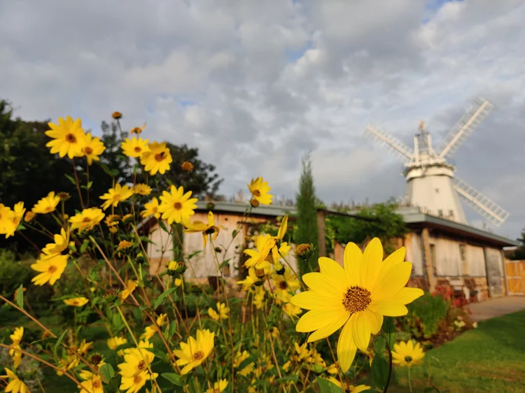 Upminster Windmill