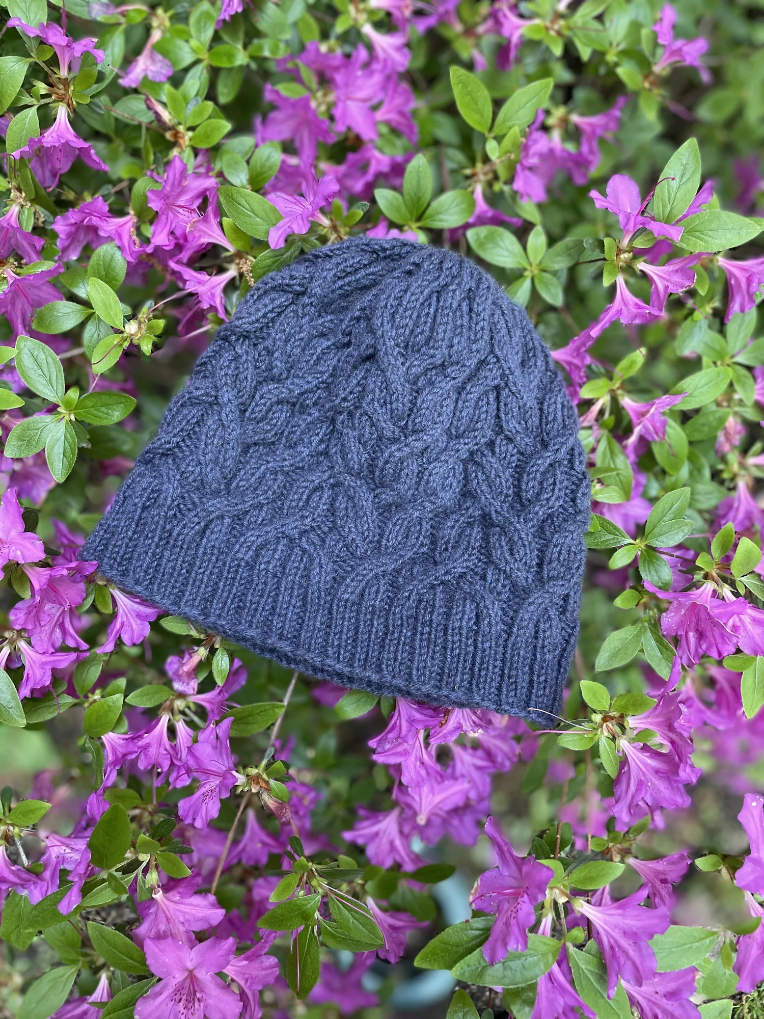 Secale — Into The Wool