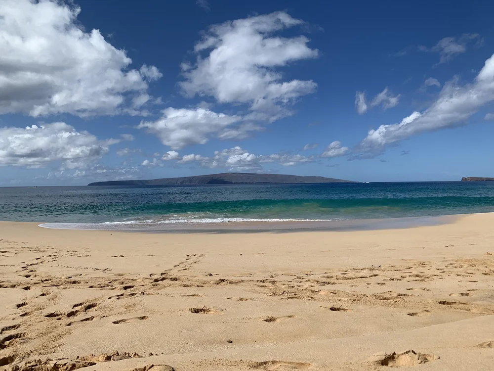 Exploring the Best South Maui Beaches for Family Fun — Adventurous ...