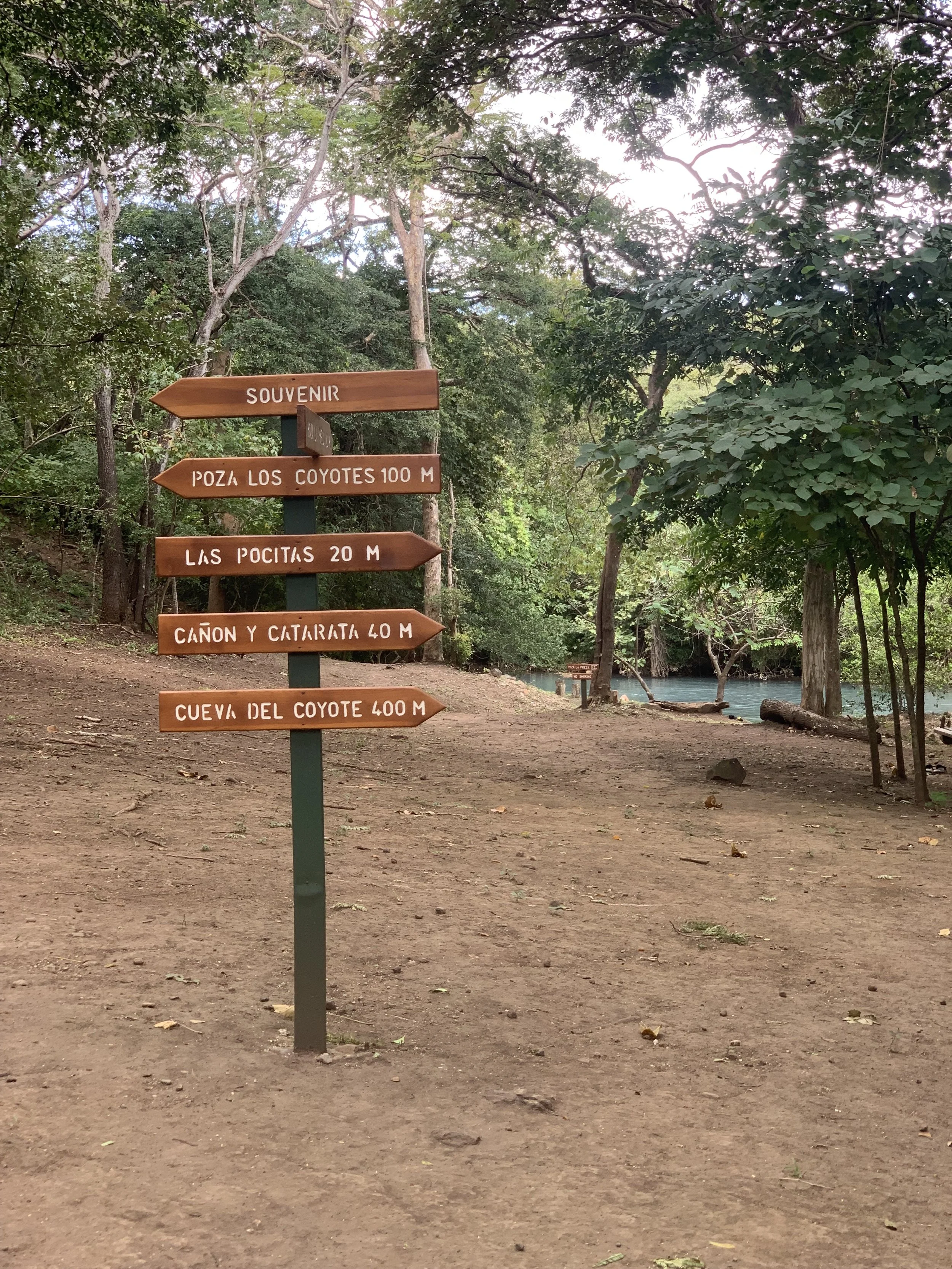 The Ultimate Guide to Visiting Poza Los Coyotes: Costa Rica’s Hidden ...