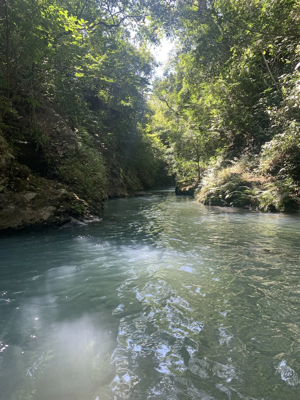 The Ultimate Guide to Visiting Poza Los Coyotes: Costa Rica’s Hidden ...