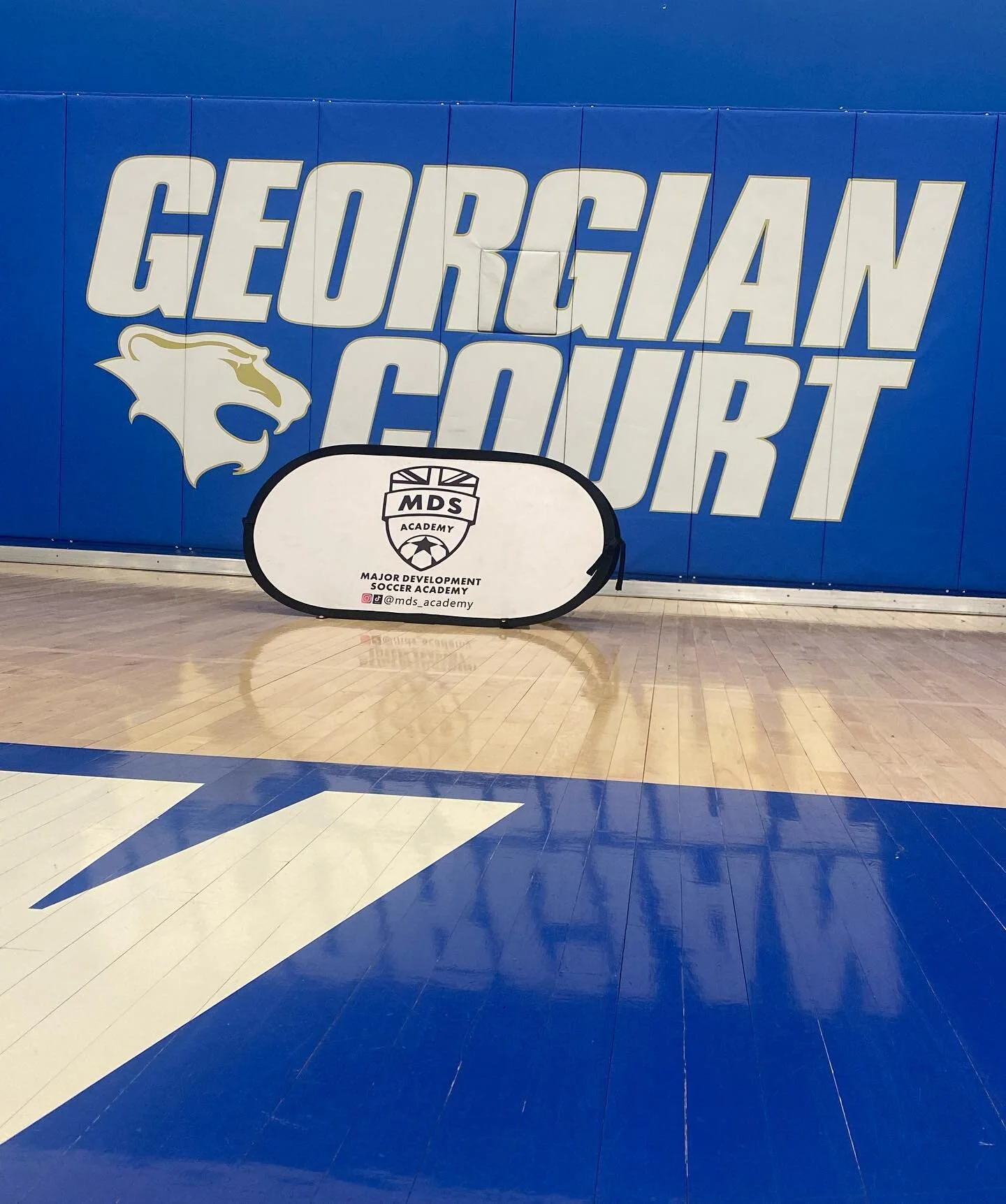 MDS Academy | Soccer Training Provider