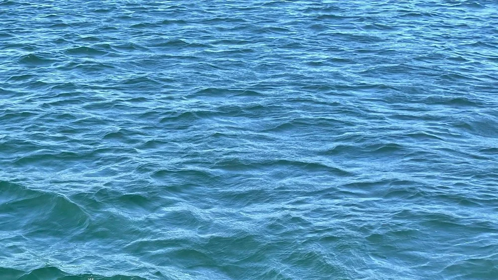 About — North Sand Lake Association