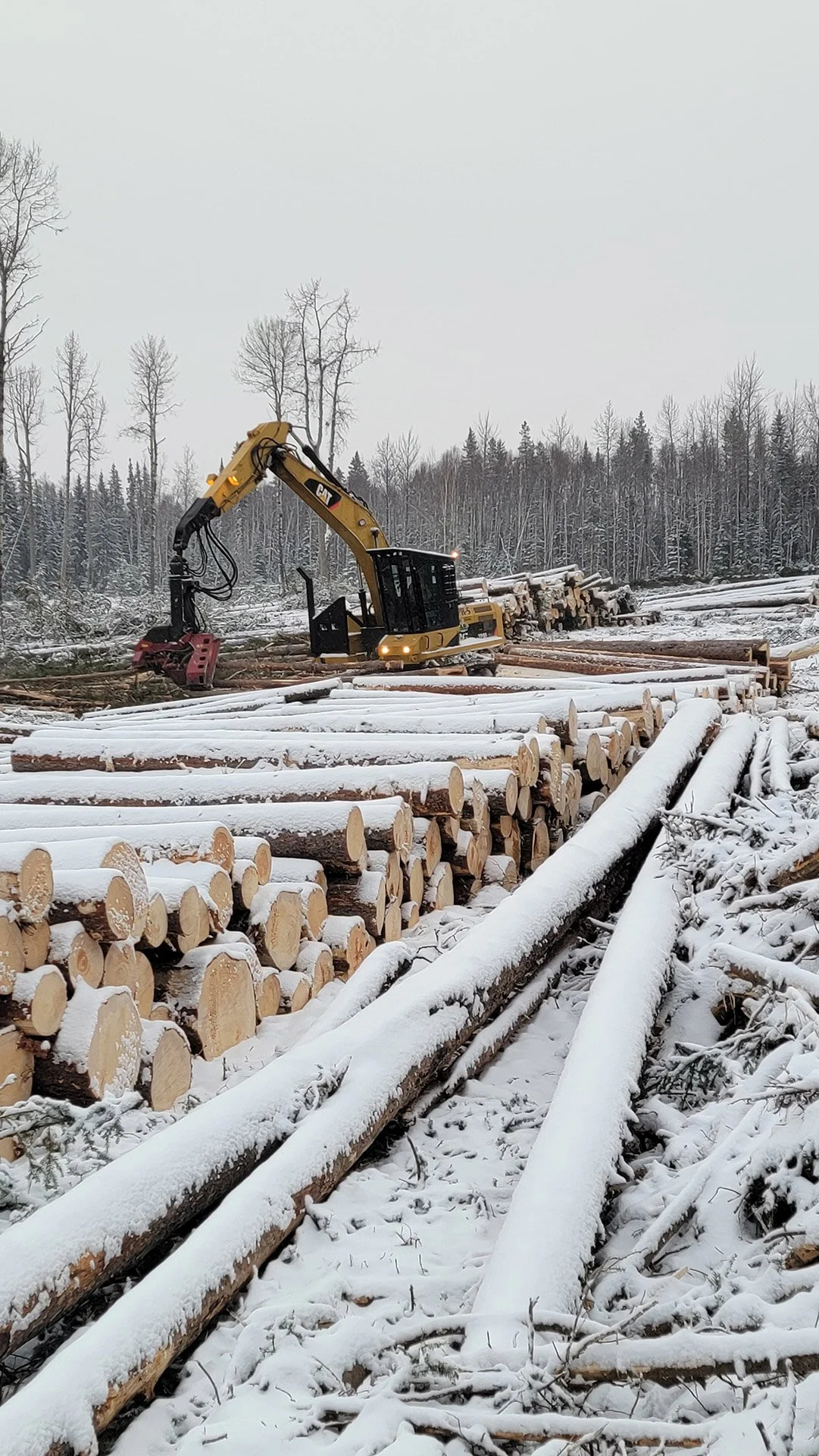 Granger Forestry