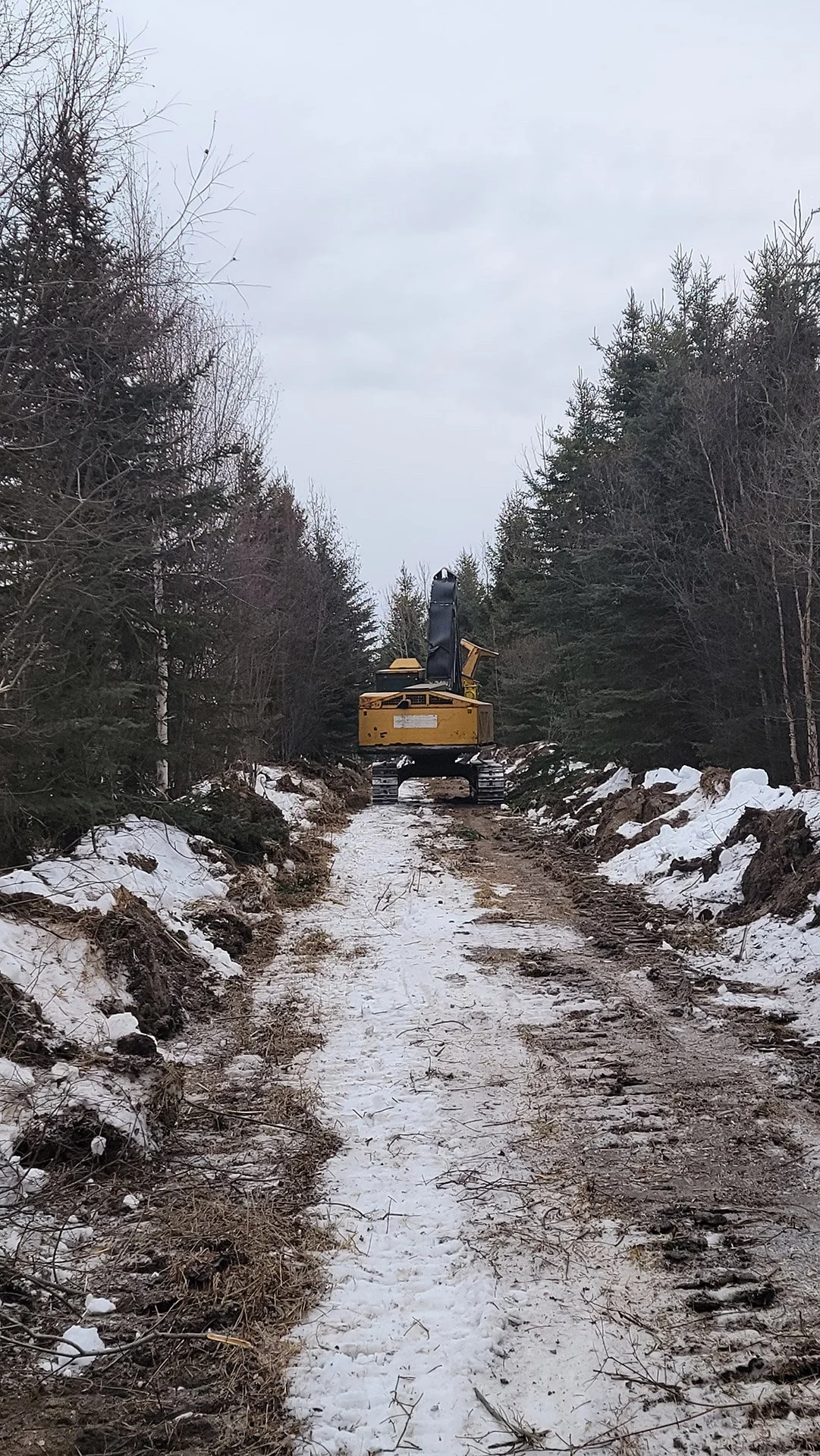 Granger Forestry