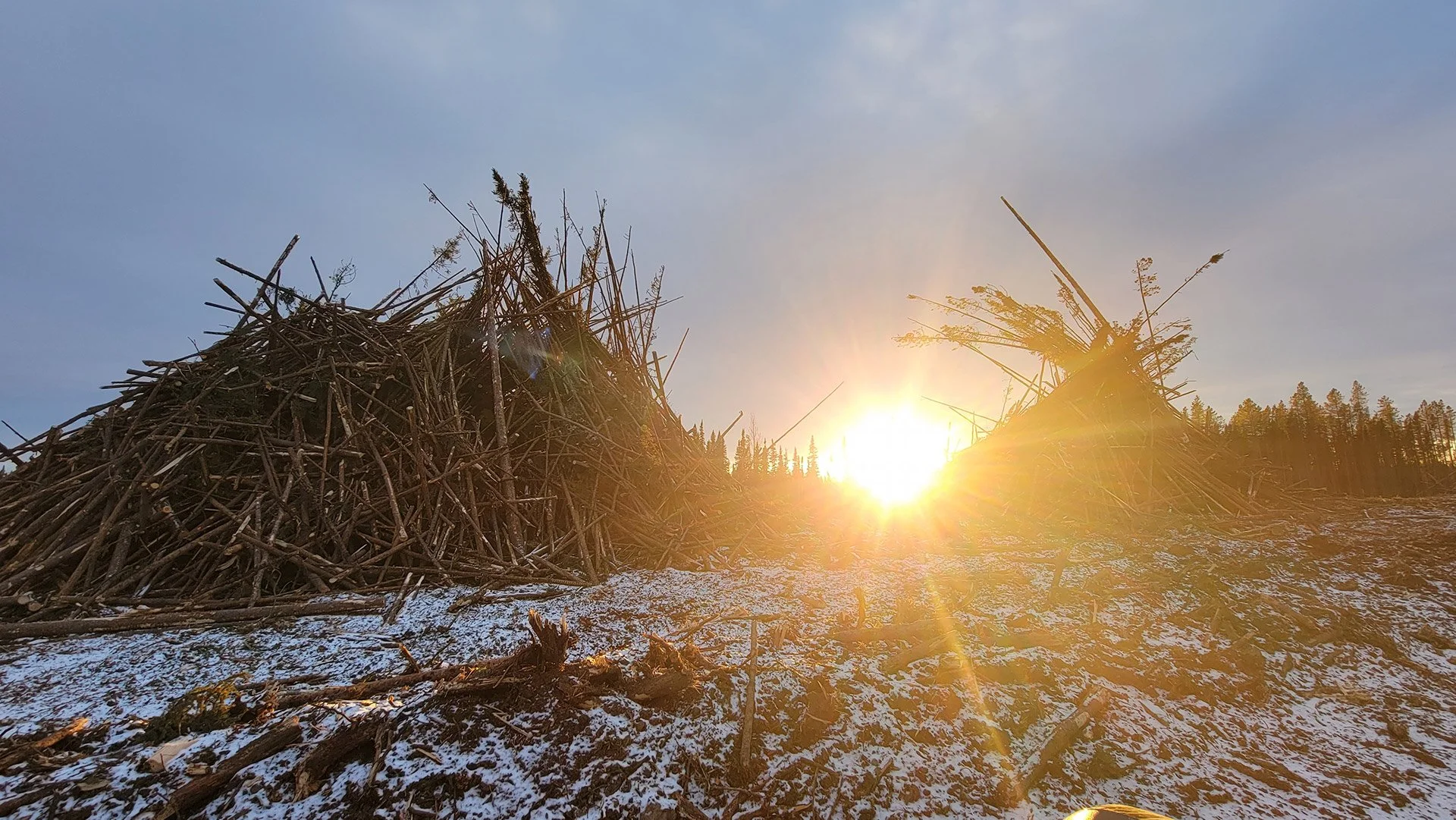 Granger Forestry