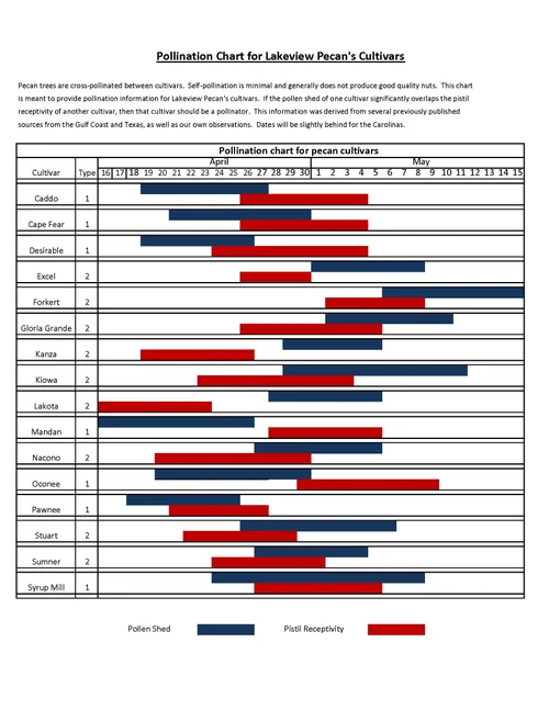 Pollination Chart — Lakeview Pecans