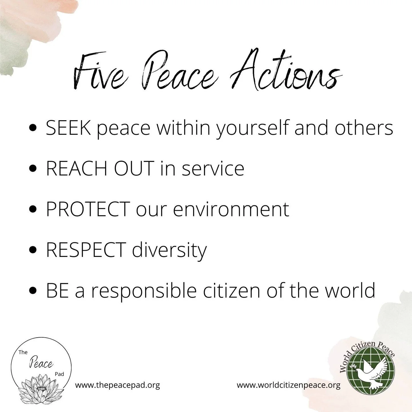 'Seed Community' - Lessons, Practices & Resources — The Peace Pad