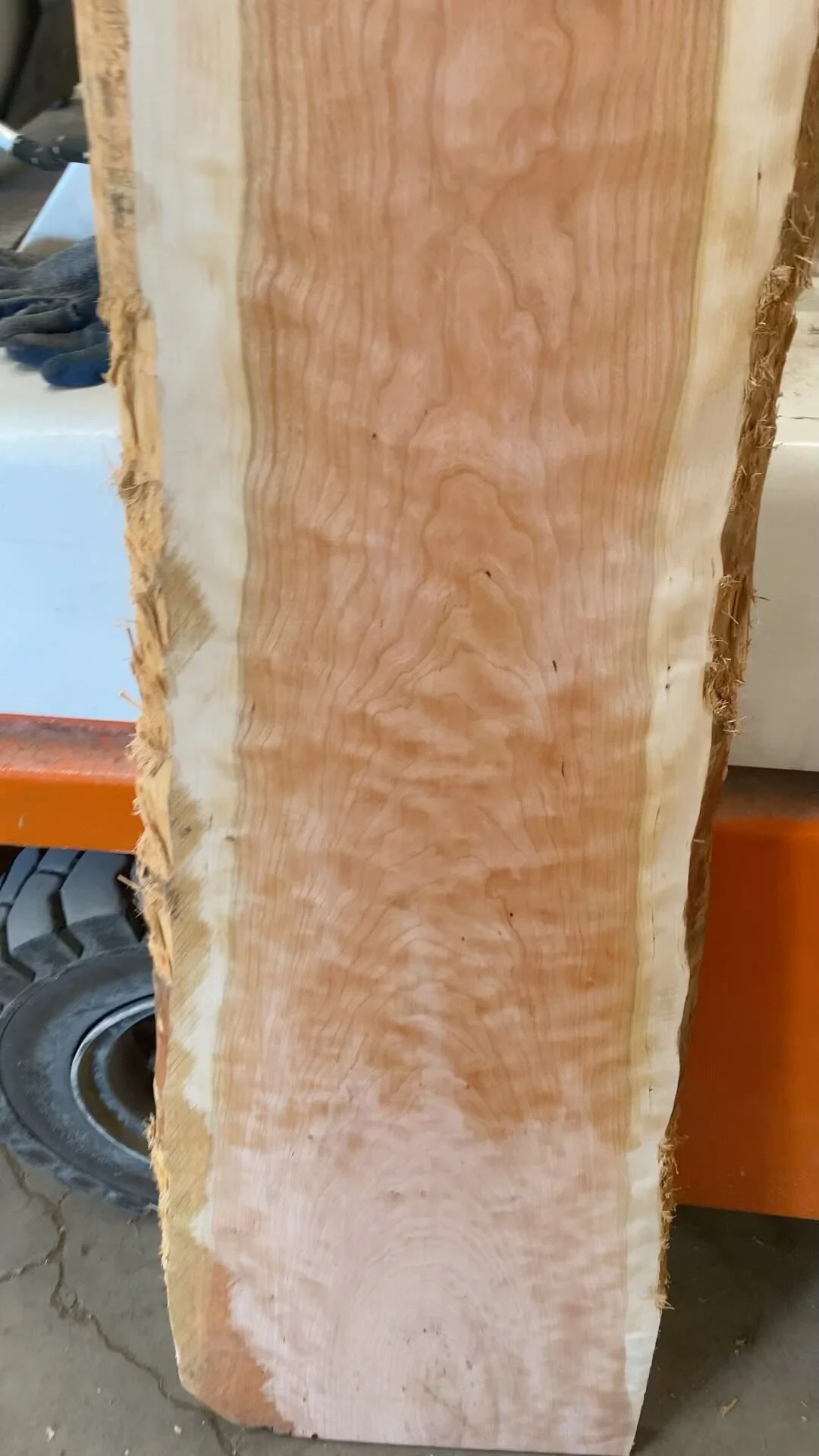 Kloes Specialty Hardwoods | Figured Woods | Kiln Drying