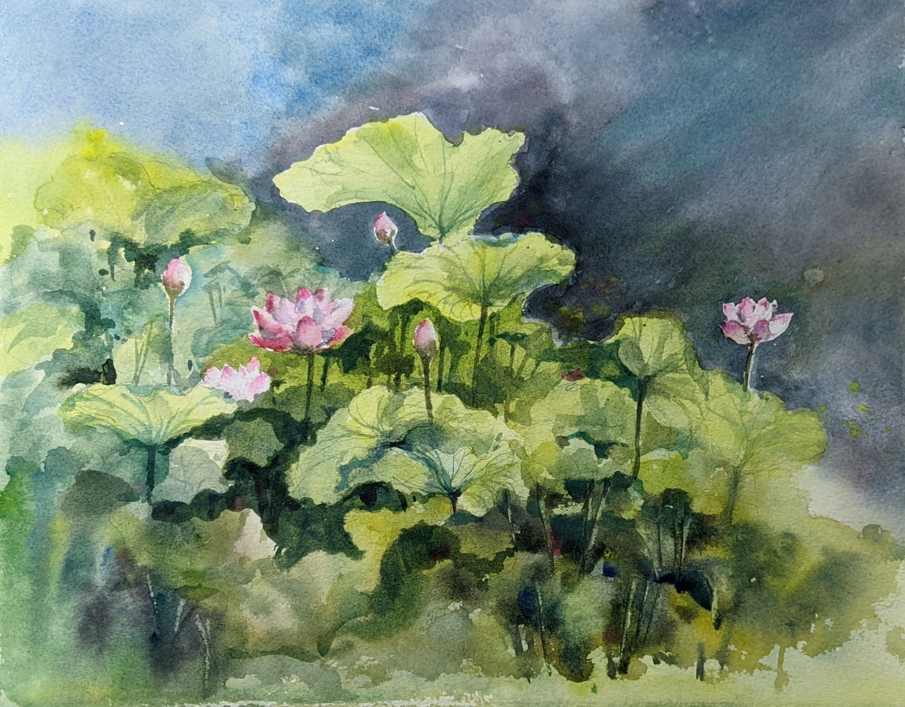 Gallery 1 — Vicky Zhou Art