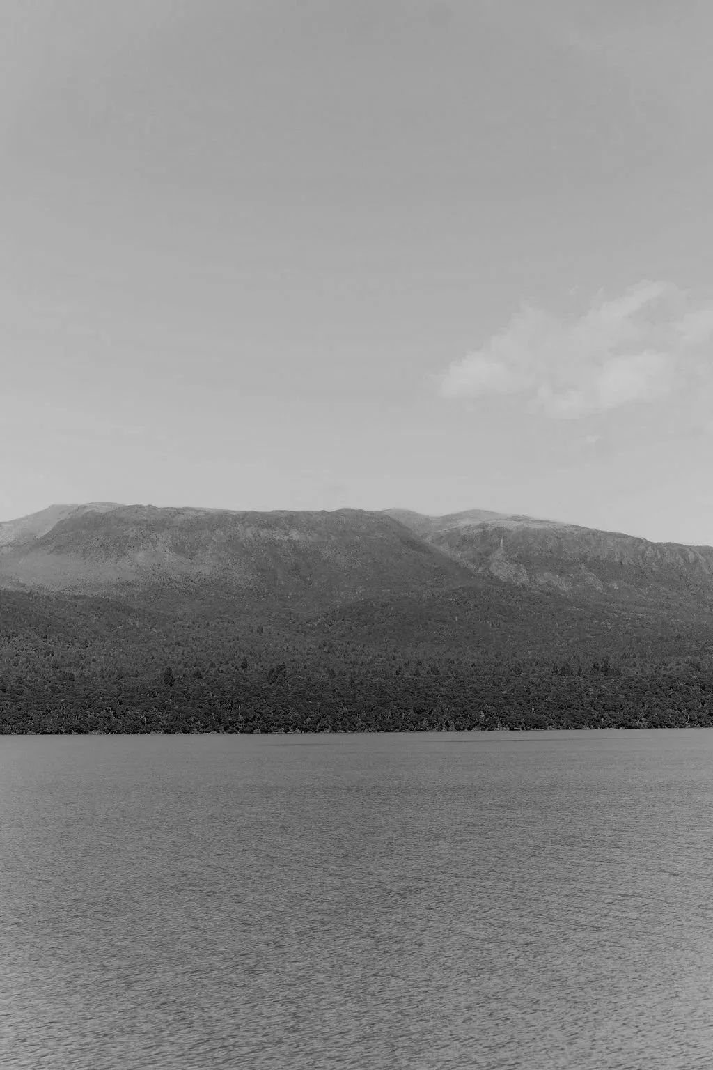 Our Marae — Tūhourangi Tribal Authority