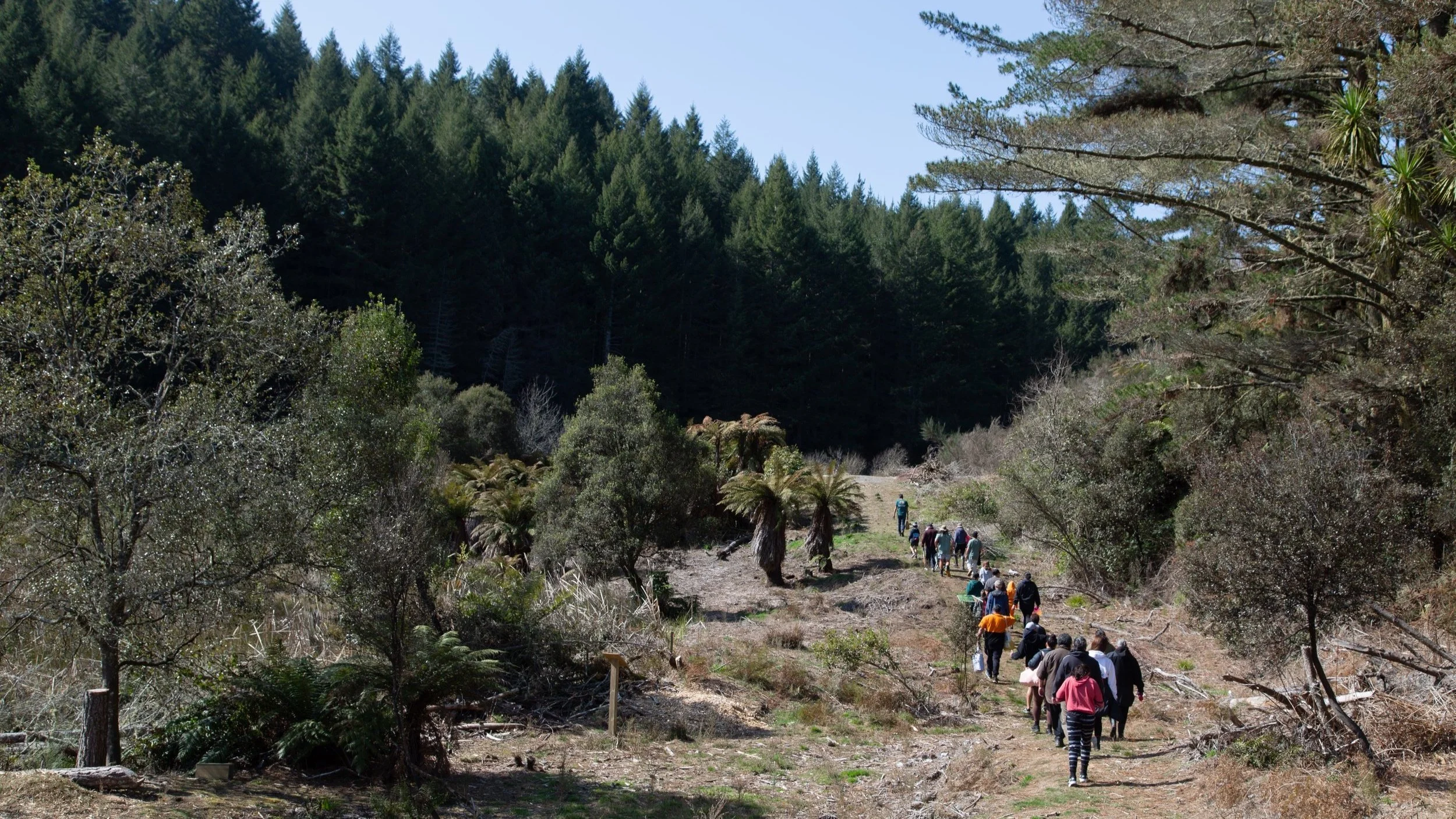 Register — Tūhourangi Tribal Authority