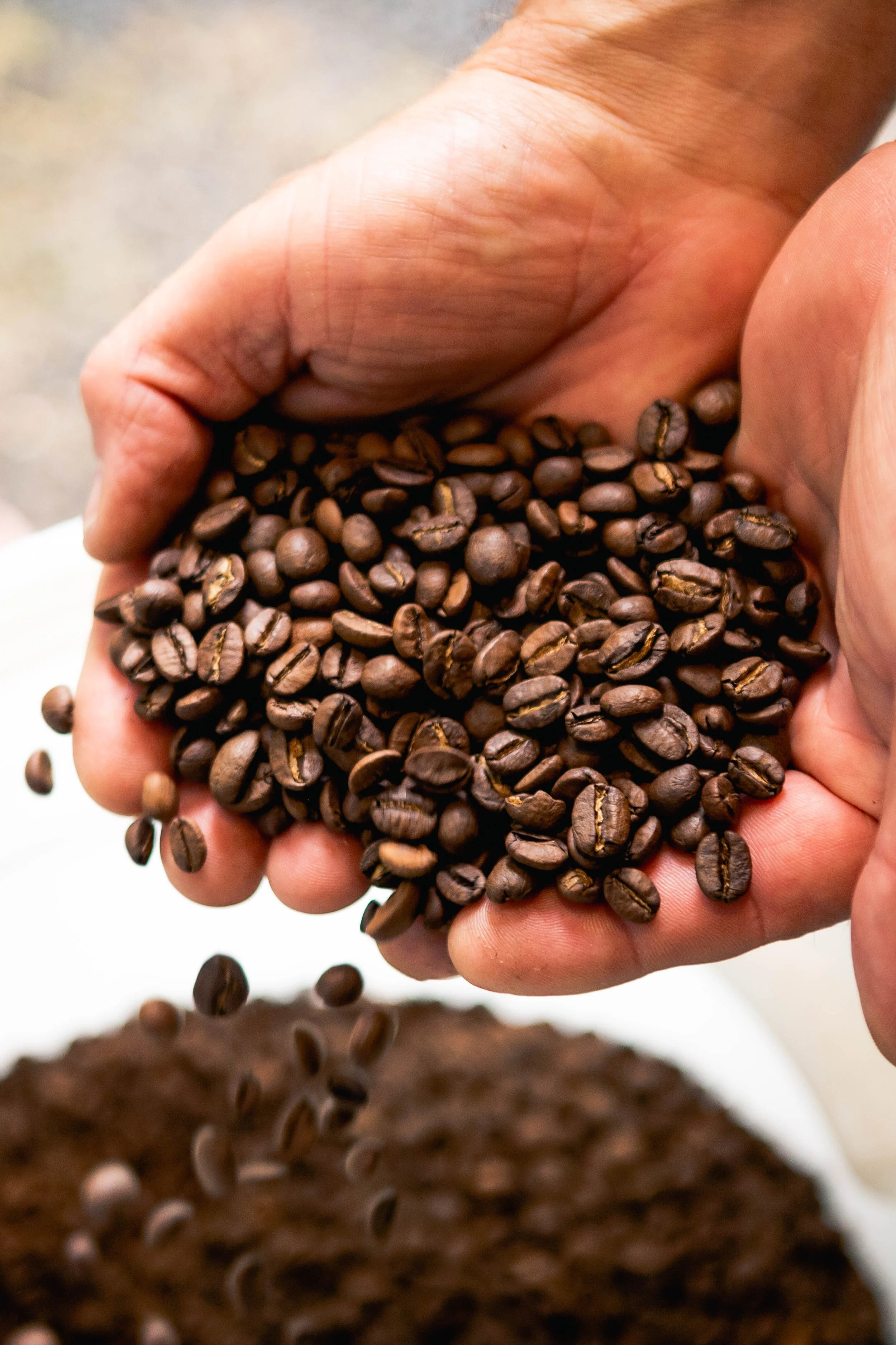 About Our Coffee — Rafael's Coffee