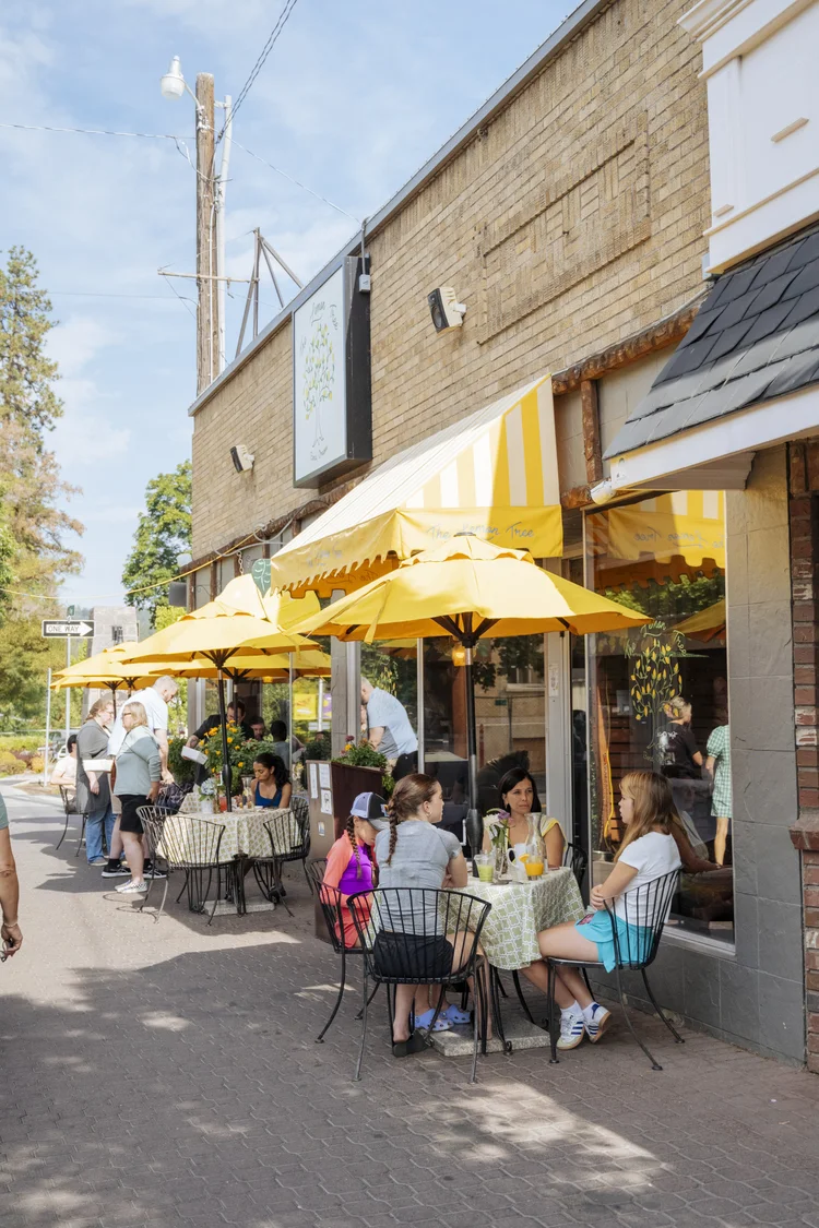 The Lemon Tree