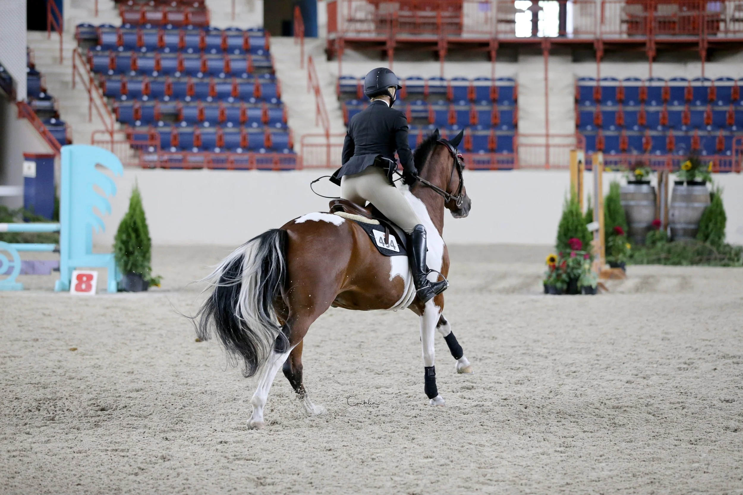 Services — Lotus Show Stables