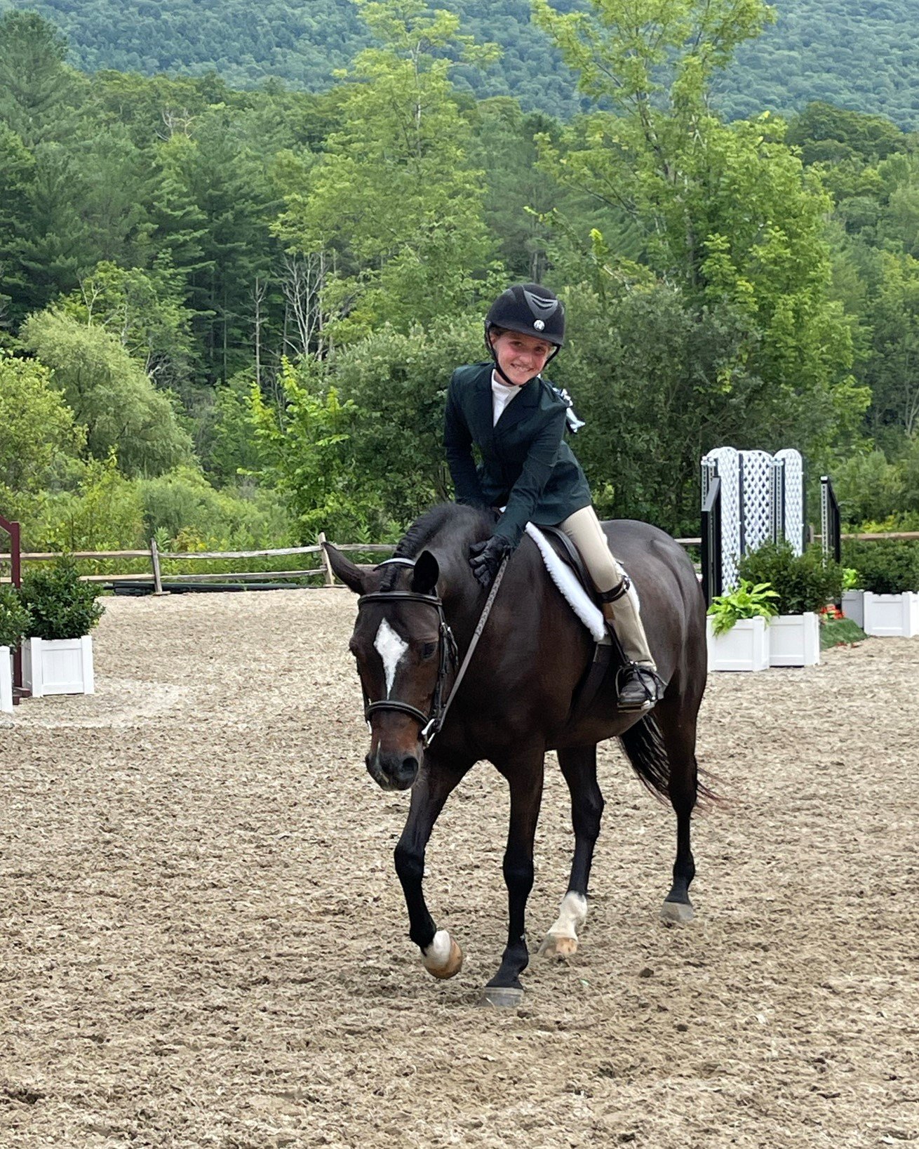 Photos — Lotus Show Stables