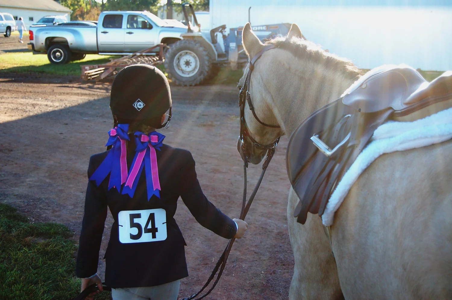 Services — Lotus Show Stables