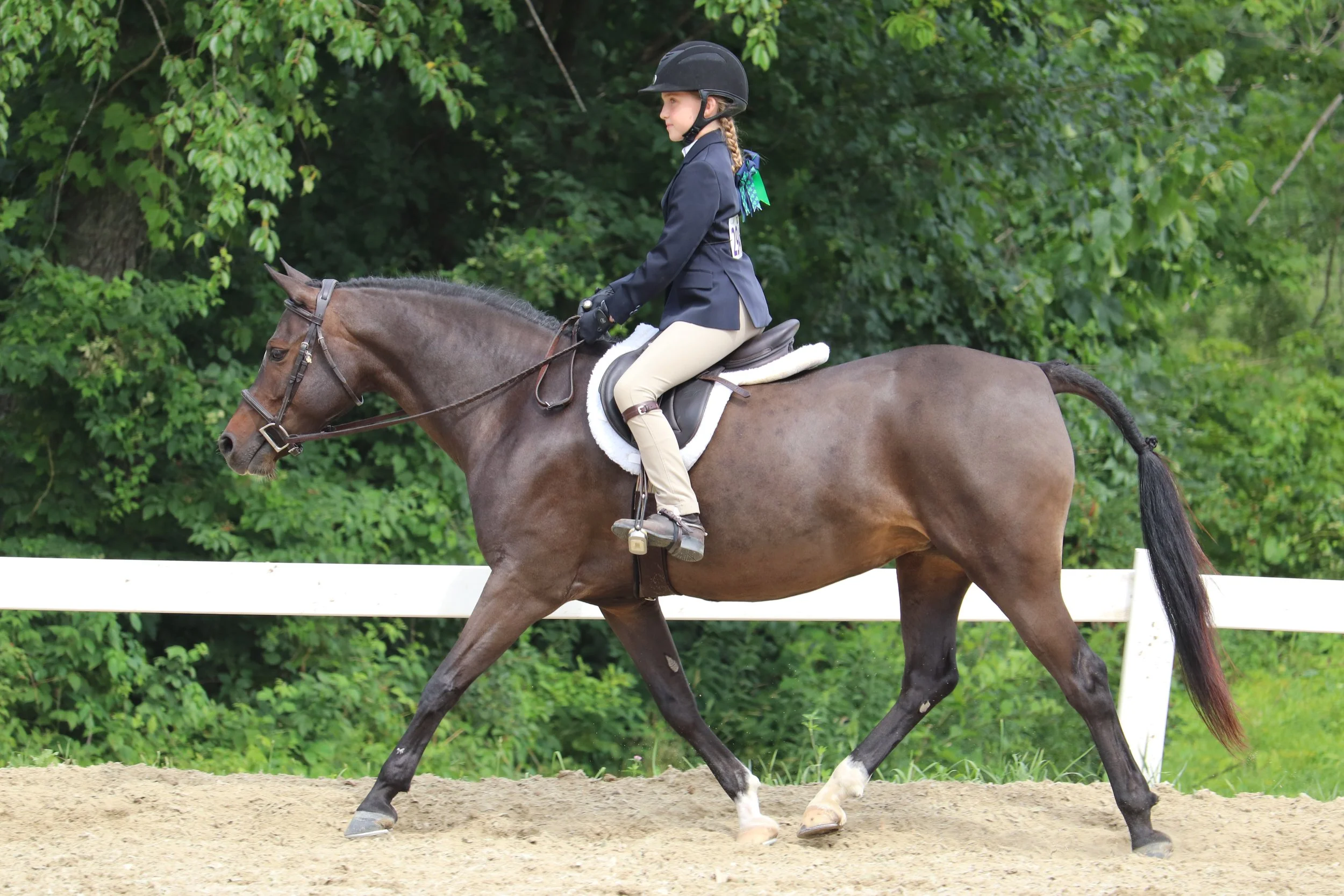 Photos — Lotus Show Stables