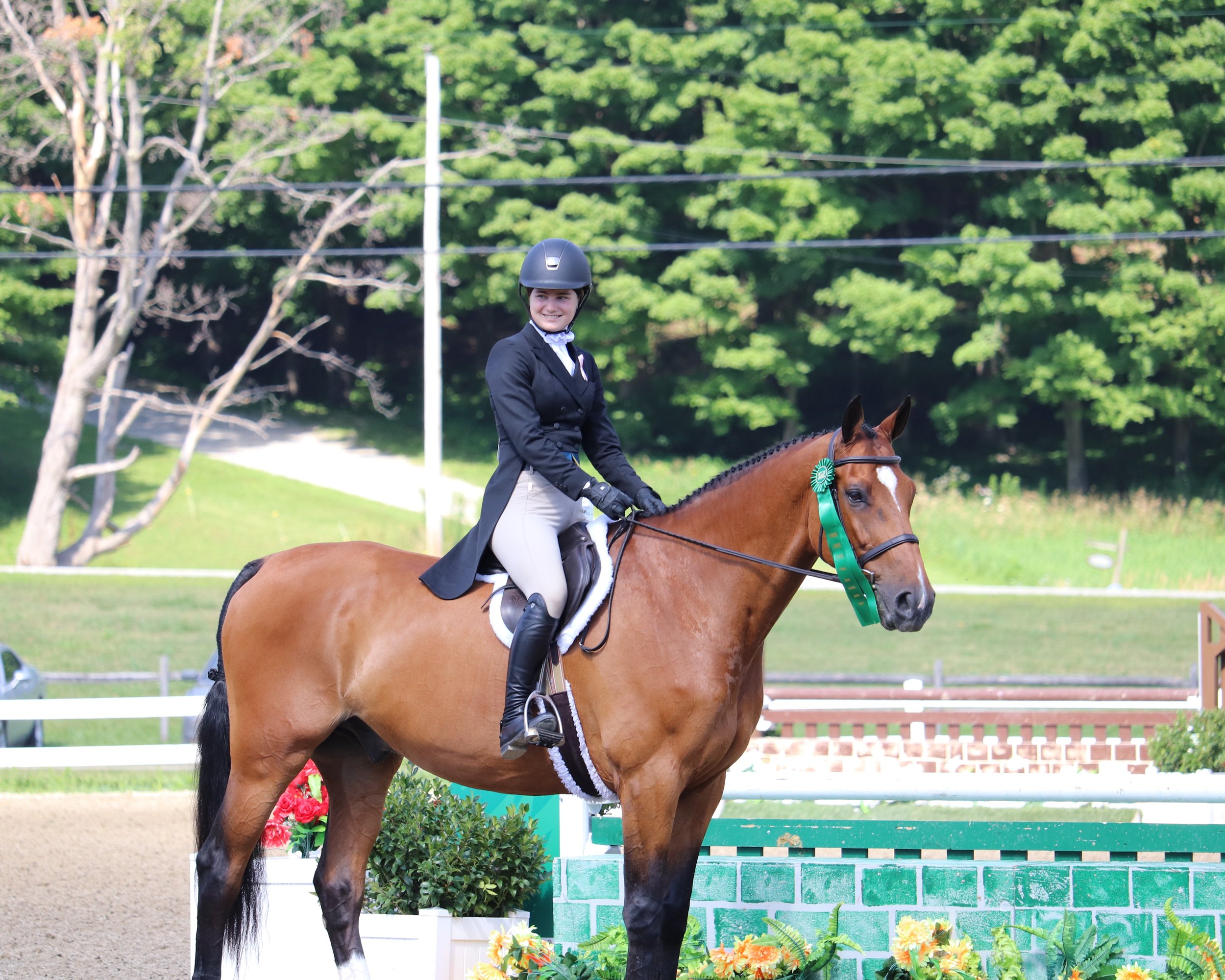 Photos — Lotus Show Stables