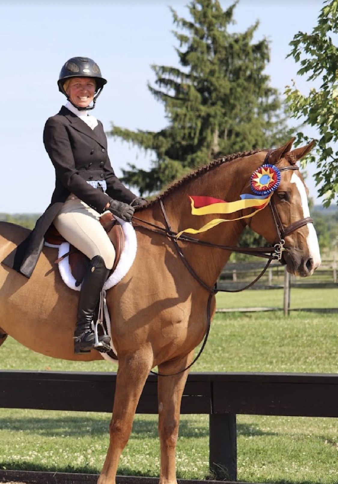 Training — Lotus Show Stables