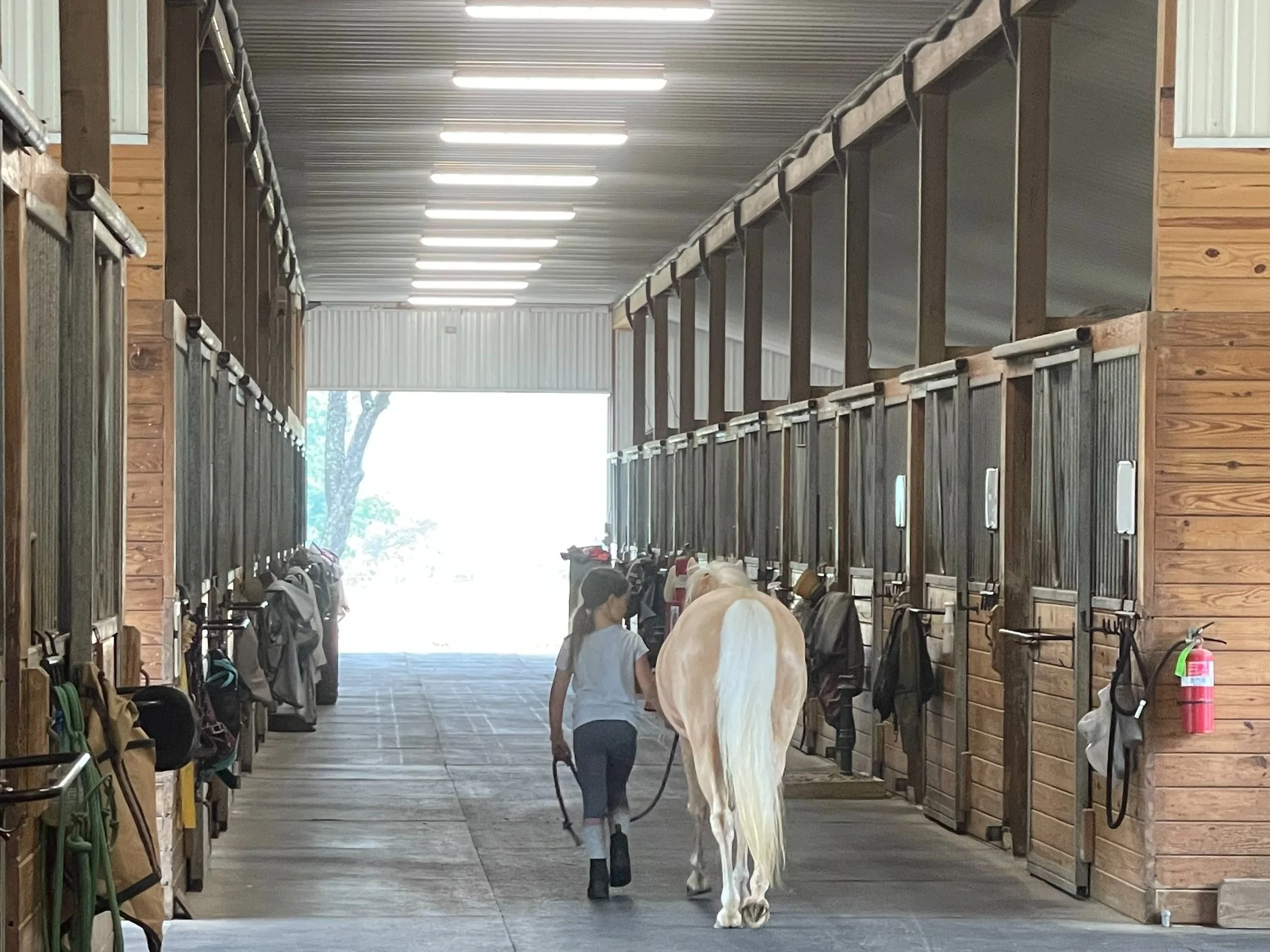 Services — Lotus Show Stables