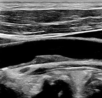 Matrix Medical Imaging