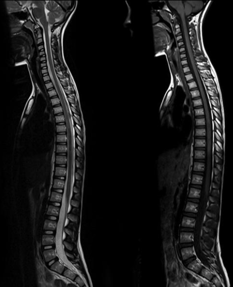 Matrix Medical Imaging