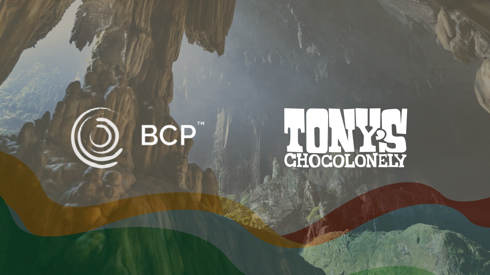 Buenas Prácticas en Medio Ambiente y Gobernanza: BioCarbon Partners y ...