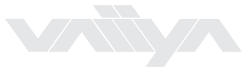 THE FINALS — THE FINALS