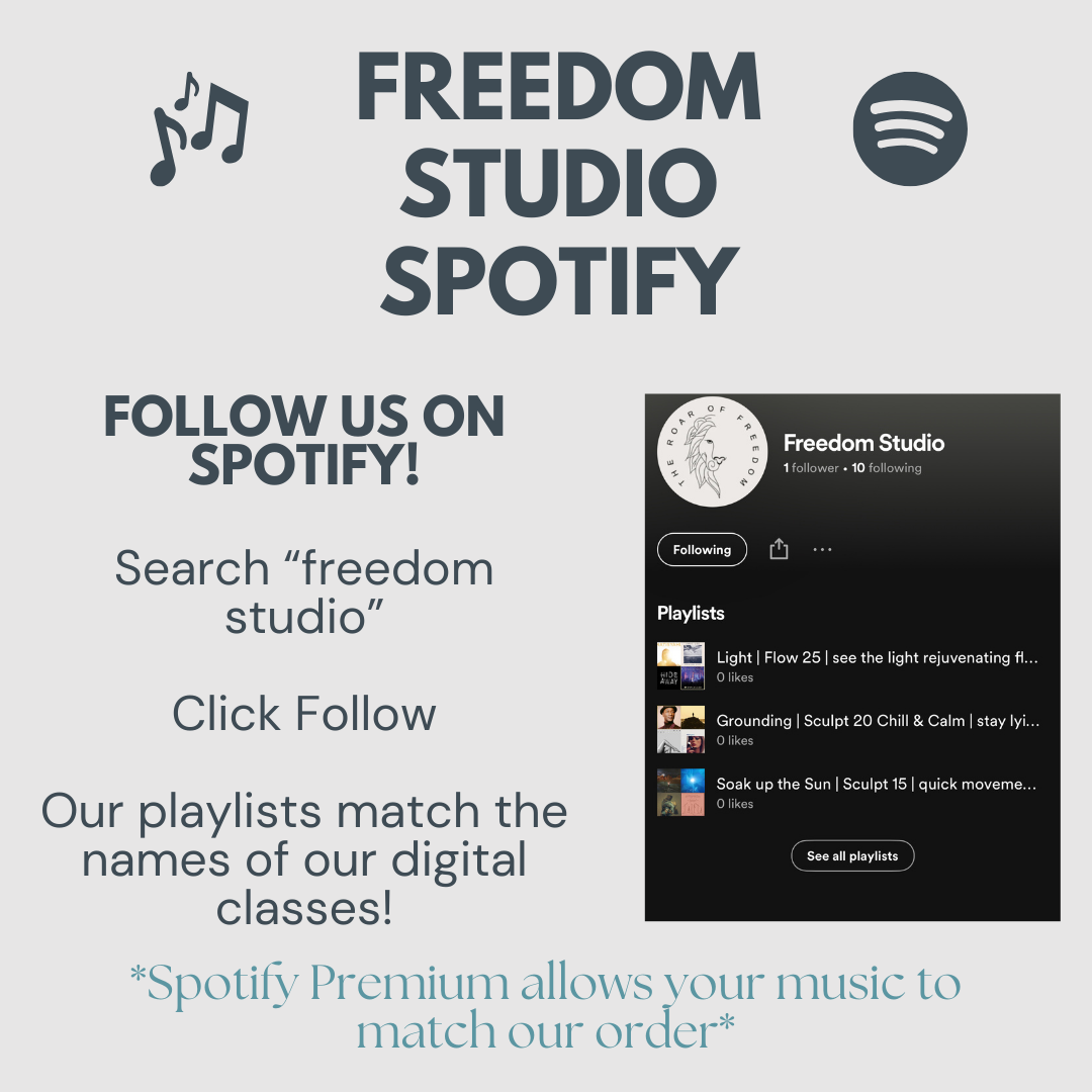 Digital Platform — FREEDOM STUDIO