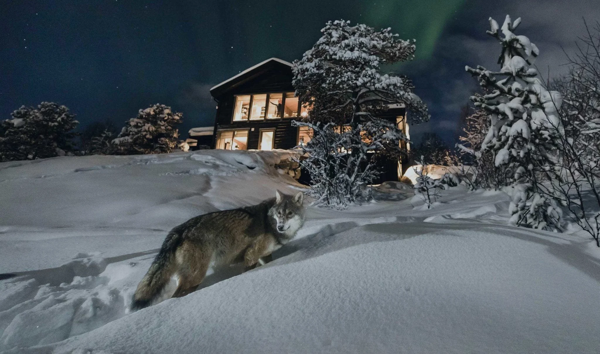 NORDFOLK Travel creates tailored experience in Norway