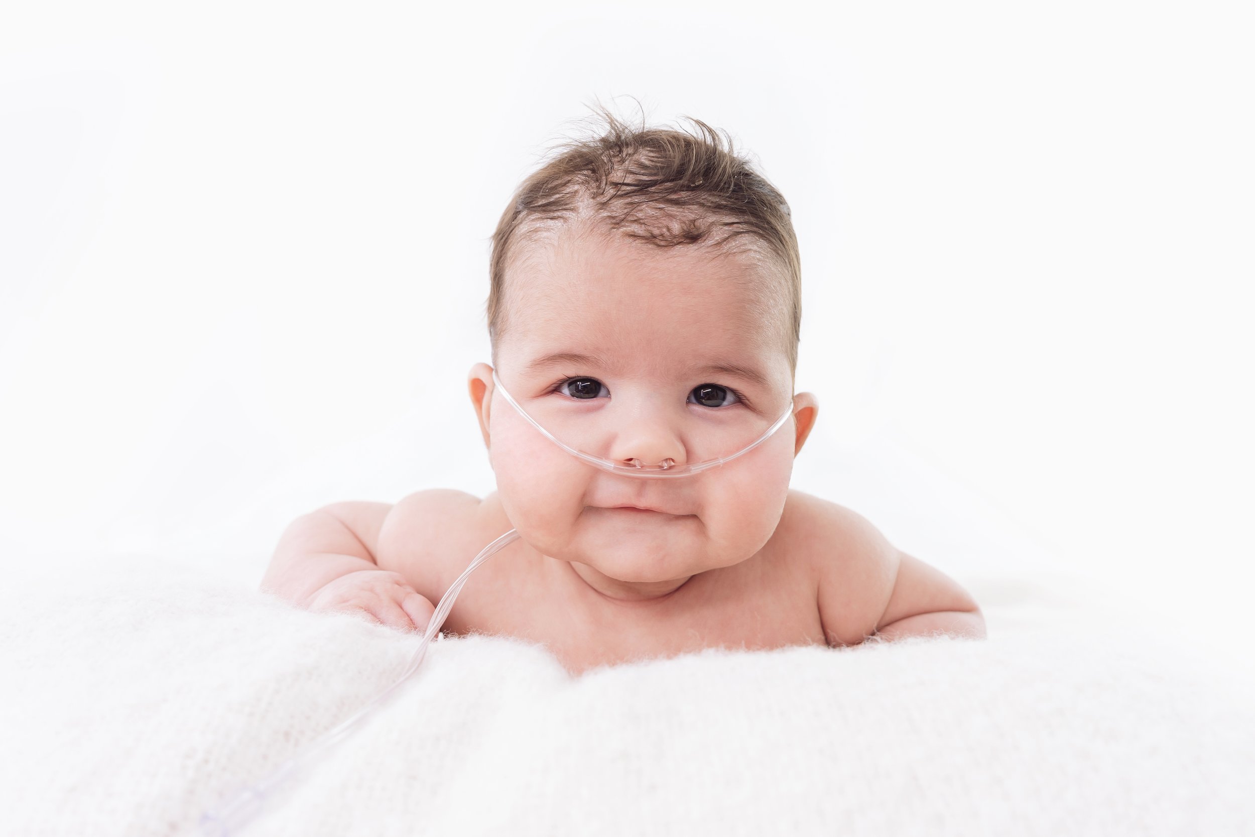 Gainsborough portrait and pet photographer