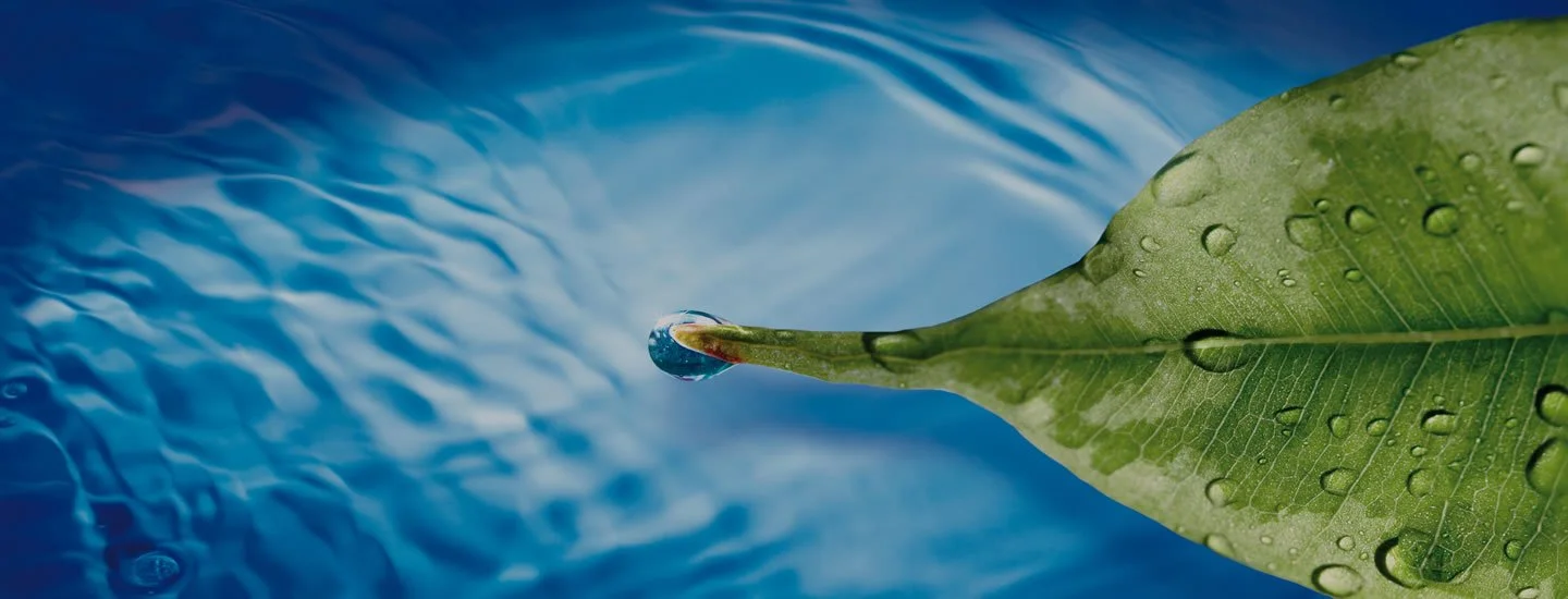 Enviro Water Saver — Enviro Watersaver | Save Water | Water Saving ...