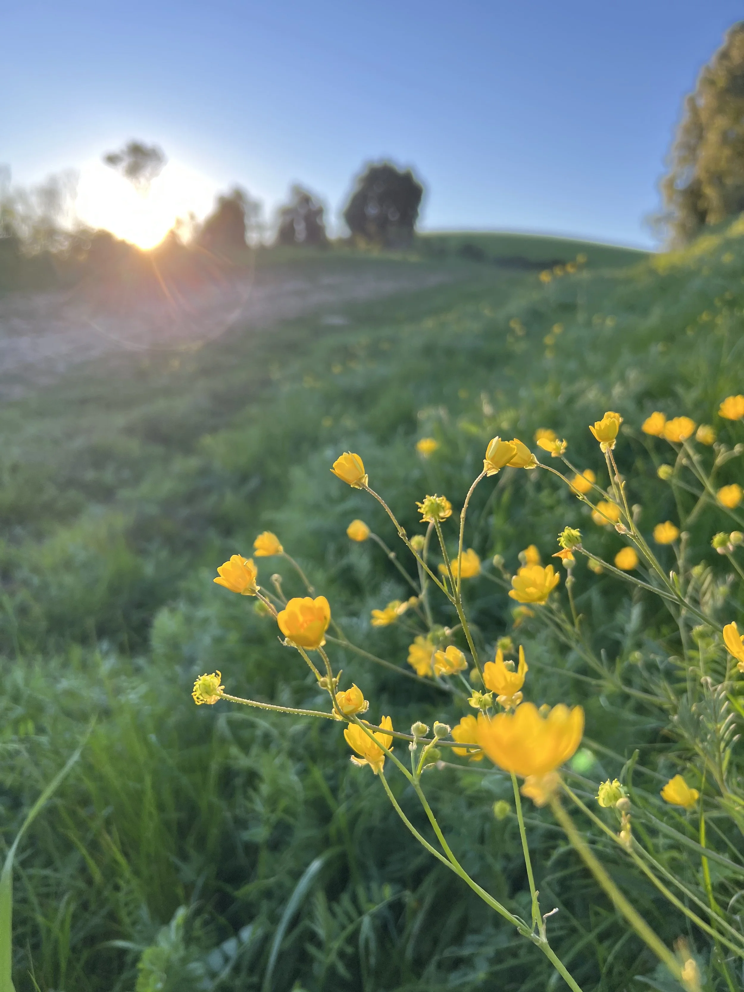 Our Team — The Remedy