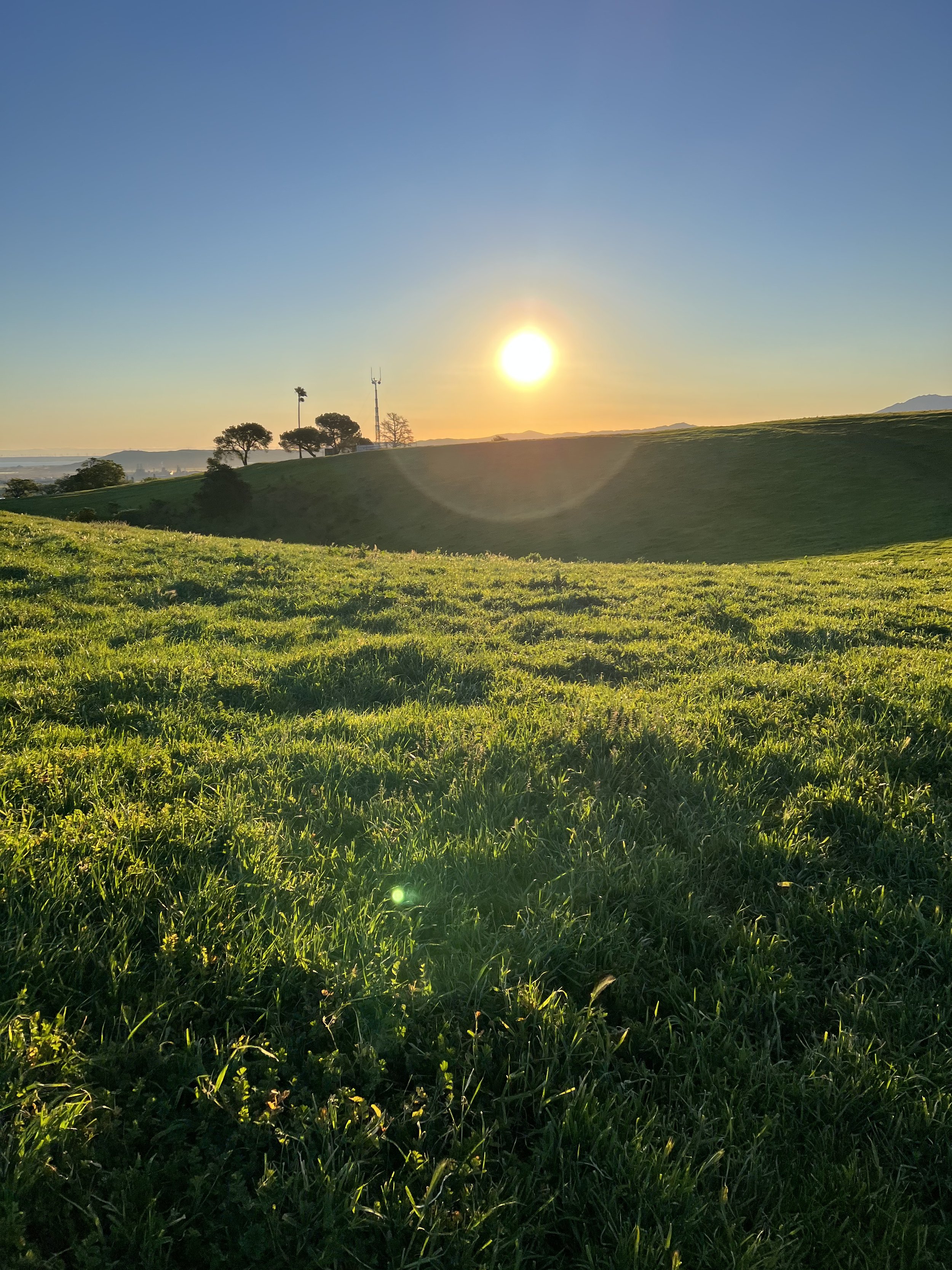 Emotional Health — The Remedy